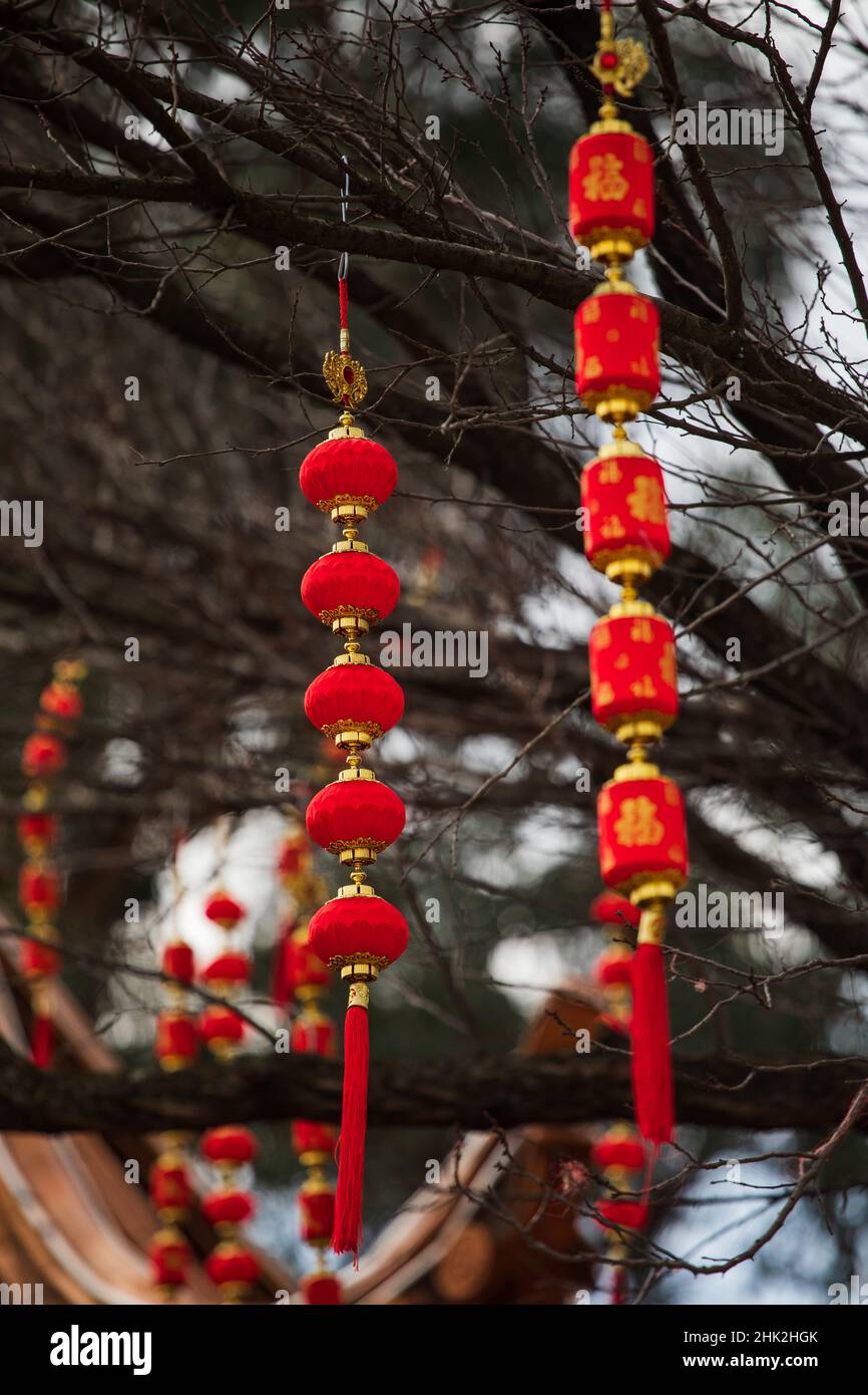 Red decorations hanging from tree branches in Chinese garden Stock ...