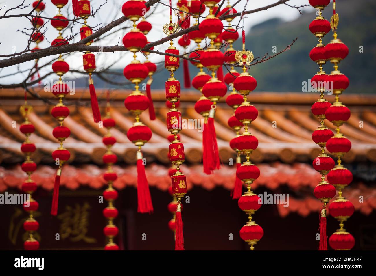 Red decorations hanging from trees in Chinese temple complex Stock ...