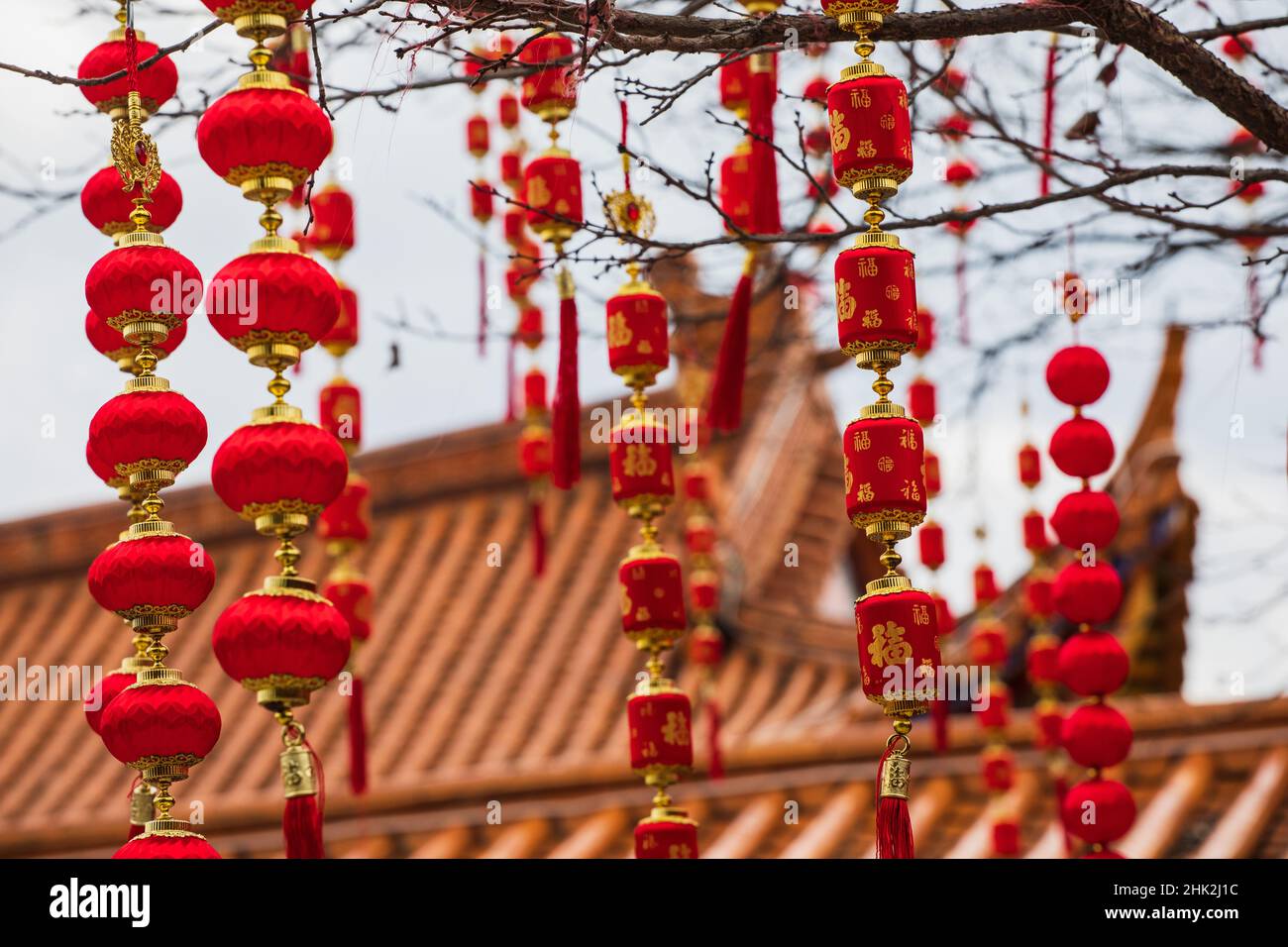 Vietnam year of tiger hi-res stock photography and images - Alamy