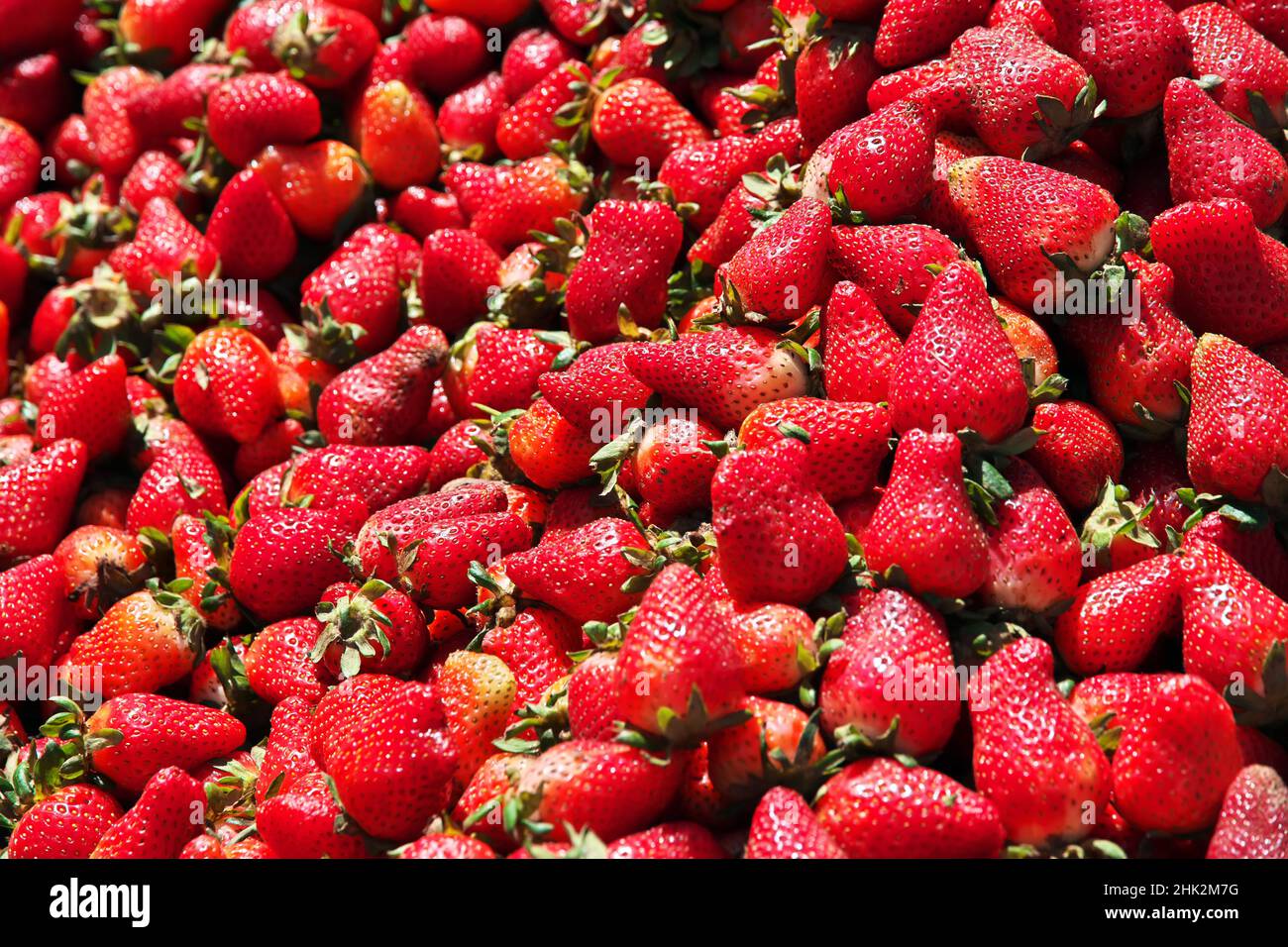 The local market, bazaar in Peshawar, Pakistan Stock Photo - Alamy