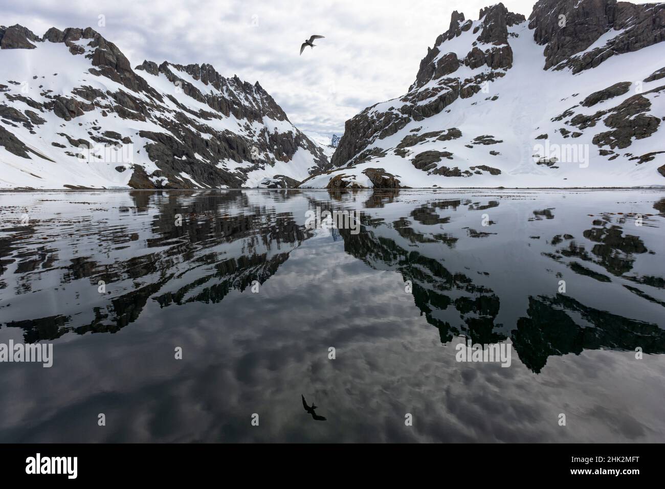 Southern Ocean, South Georgia, Larsen Harbor. This is a harbor off the ...