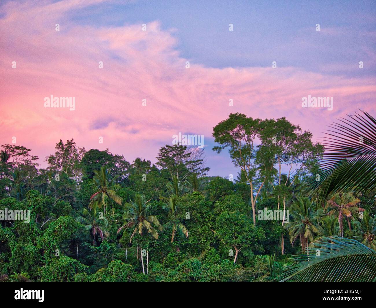 Indonesia, Bali, Ubud. Sunrise in the rainforest Stock Photo - Alamy
