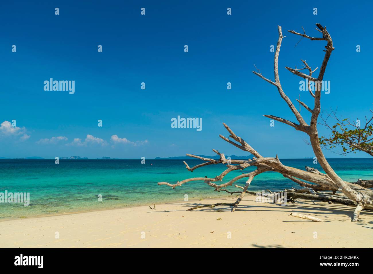 Ko Kradan, Talay Trang archipelago, Thailand Stock Photo - Alamy