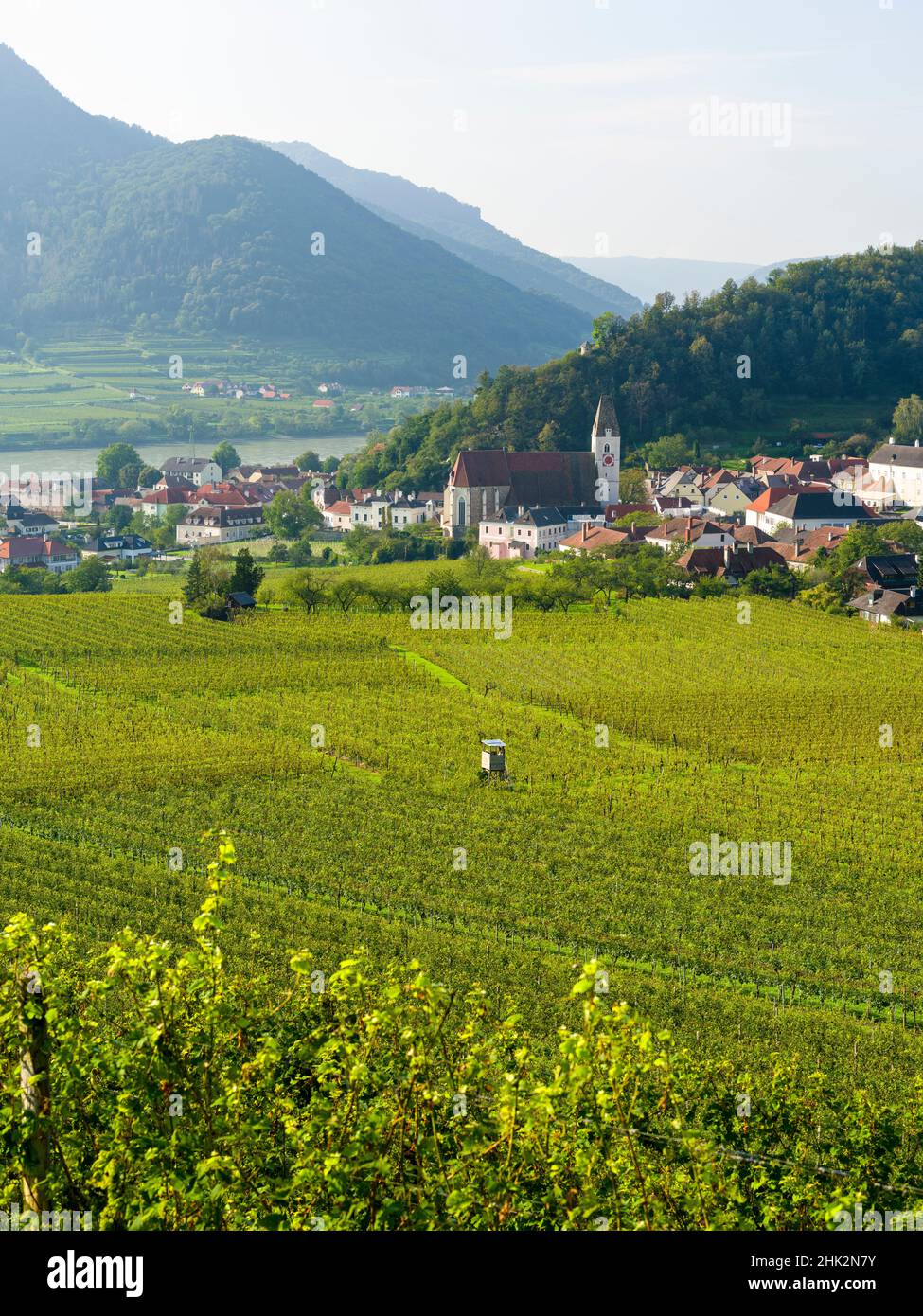 Historic village Spitz located in wine-growing area, UNESCO World ...