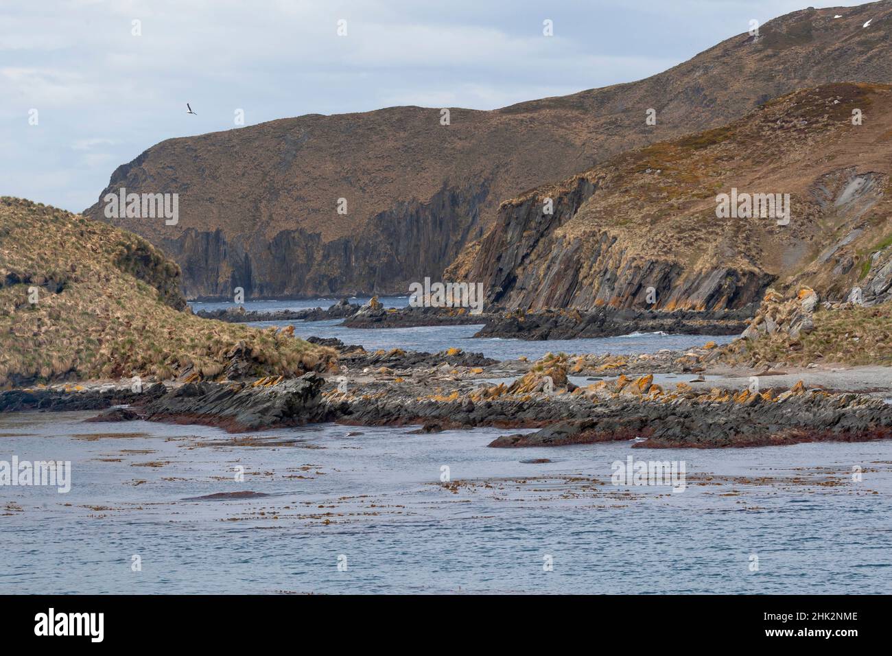 Southern Ocean, South Georgia, Ocean Harbor. View of the terrain around ...