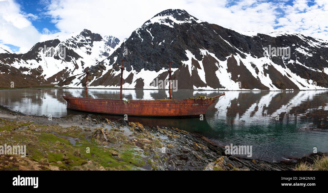 Southern Ocean, South Georgia, Ocean Harbor. View of the harbor with a ...