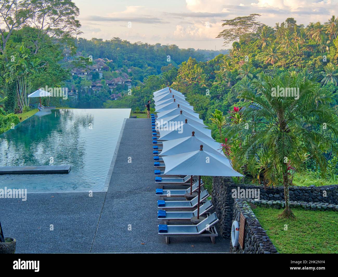 Indonesia, Bali, Ubud. Infinity Pool overlooking forest. (Editorial Use ...
