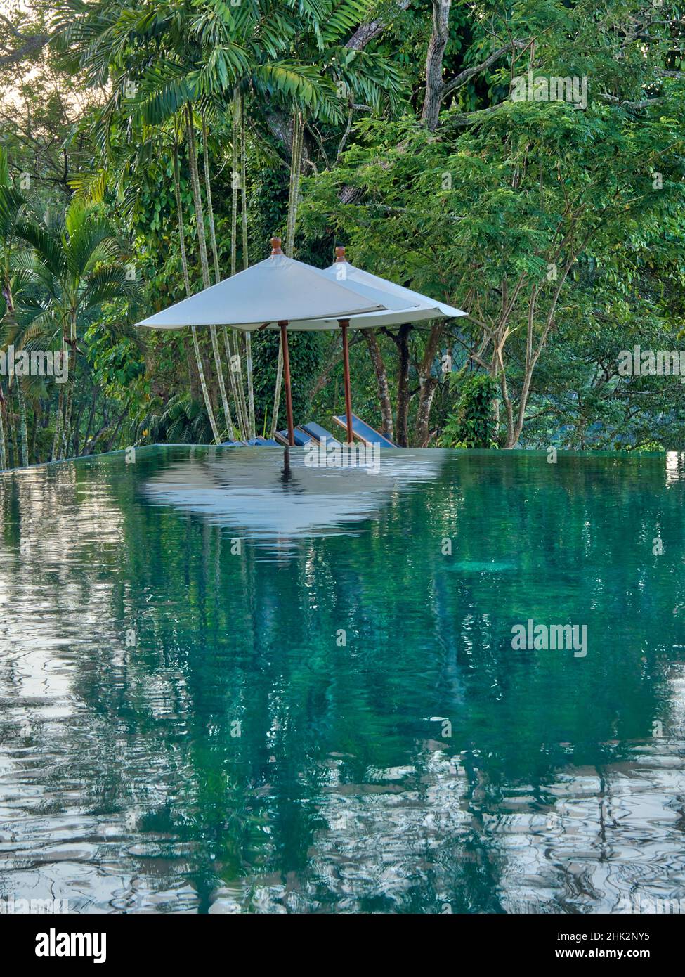 Indonesia, Bali, Ubud. Infinity Pool overlooking forest. (Editorial Use ...