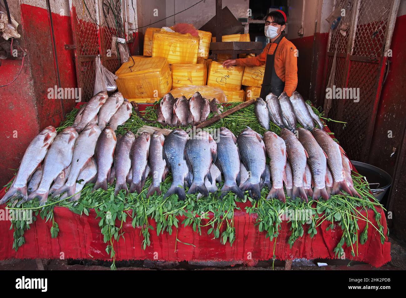 The local market, bazaar in Peshawar, Pakistan Stock Photo - Alamy