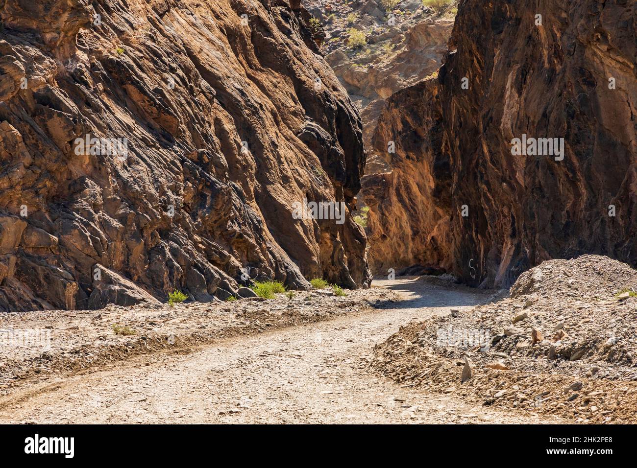 Middle East, Arabian Peninsula, Oman, Al Batinah South, Rustaq. A wadi ...