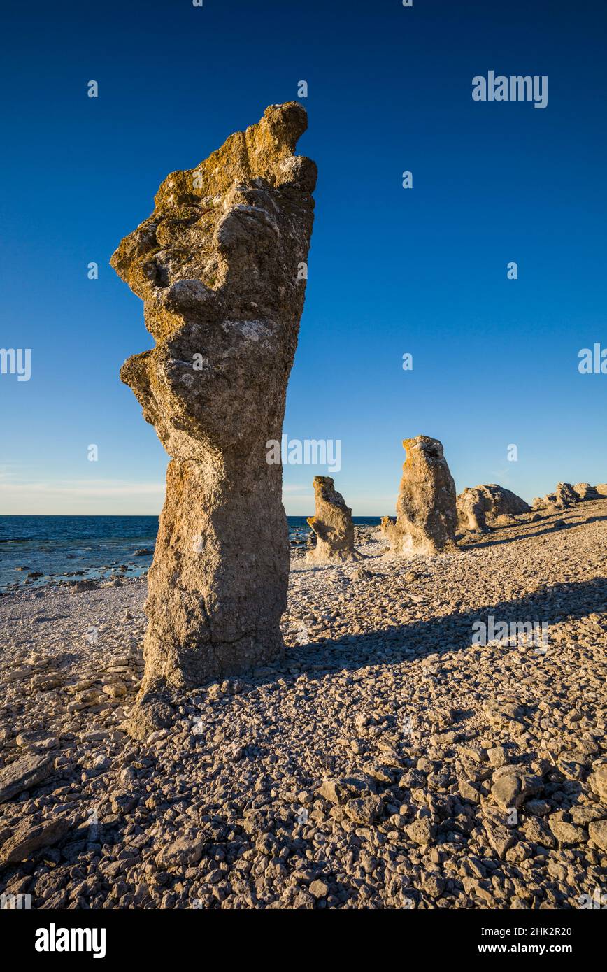 Sweden, Faro Island, Langhammars Area, Langhammar coastal limestone ...