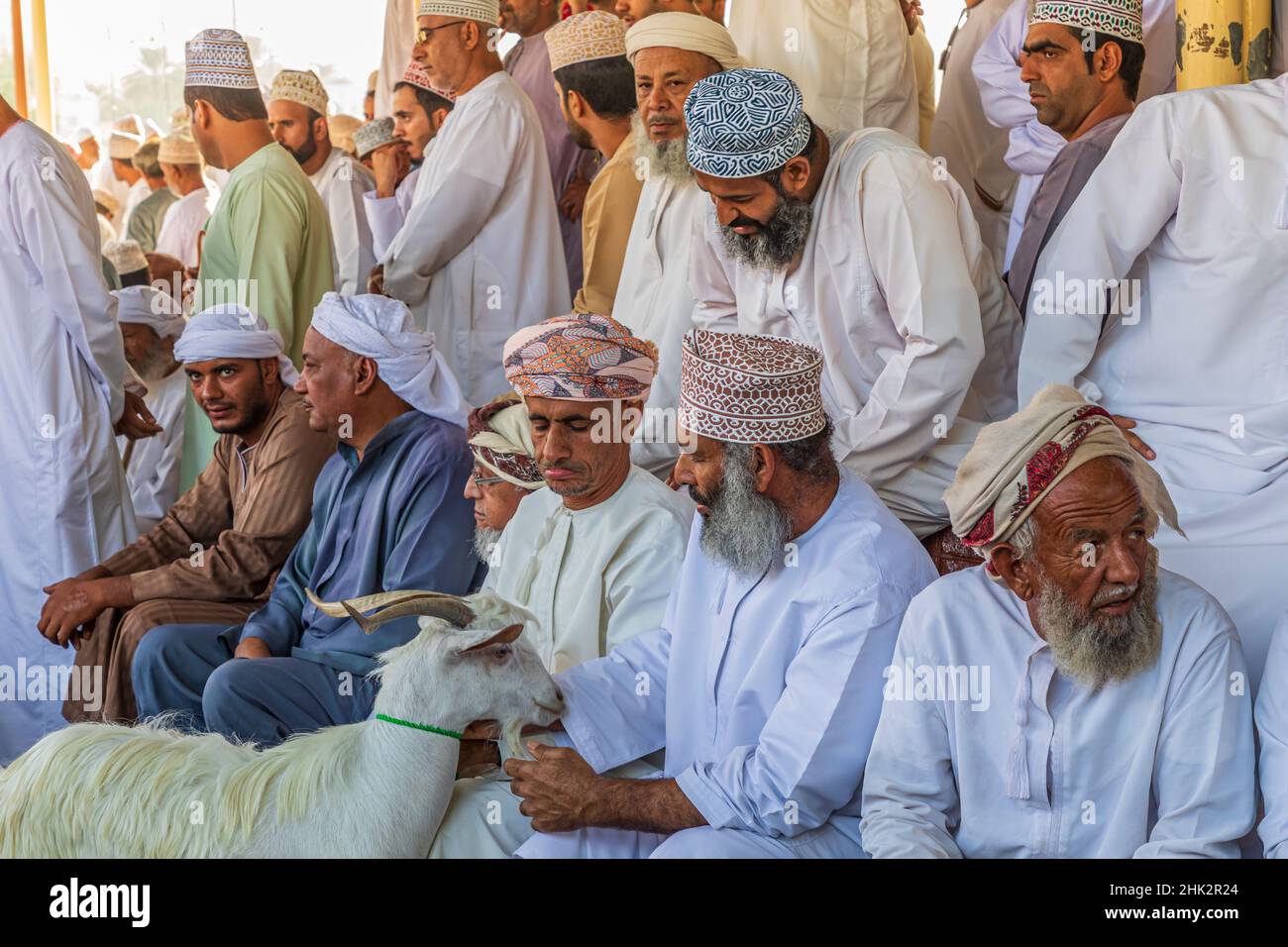 Middle East, Arabian Peninsula, Oman, Ad Dakhiliyah, Nizwa. Men with a ...