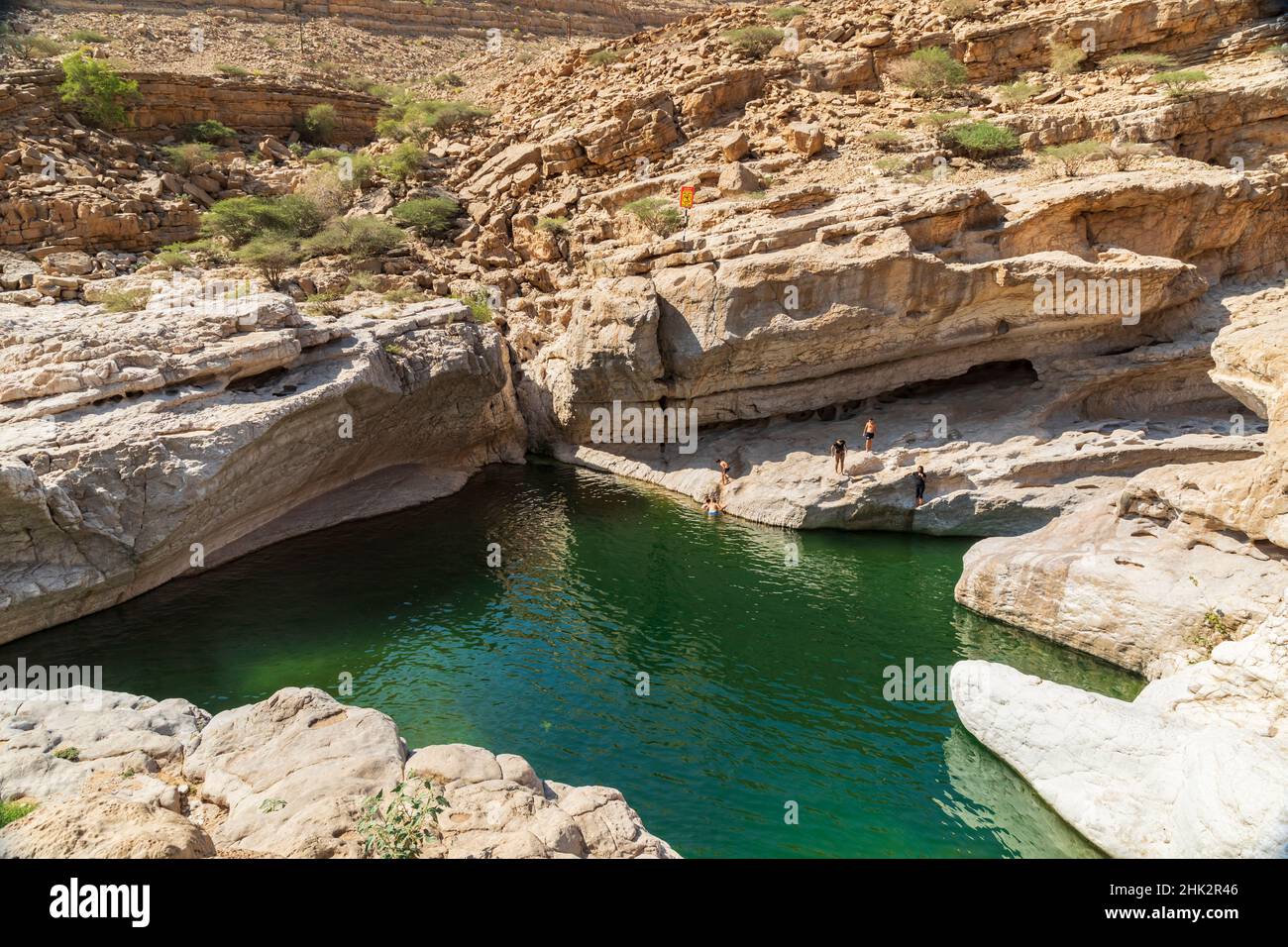 Middle East, Arabian Peninsula, Oman, Al Batinah South. The swimming ...