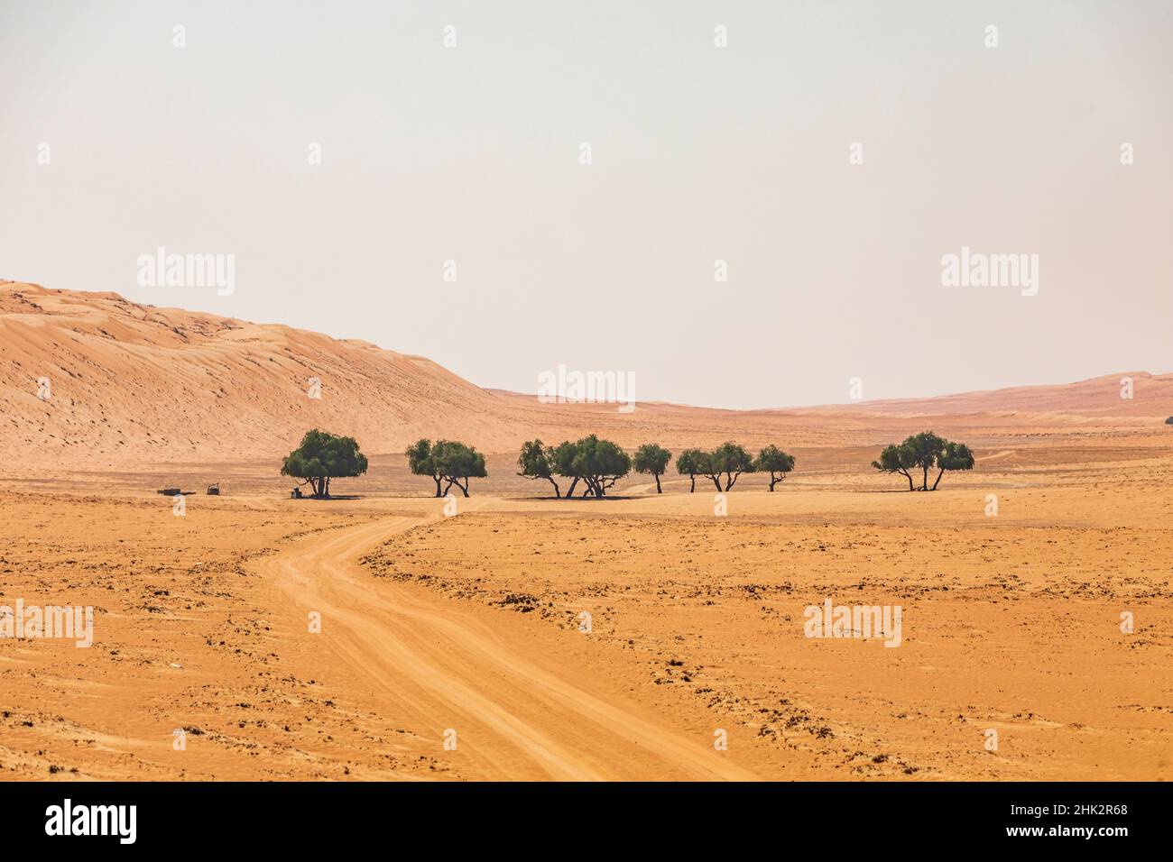 Middle East, Arabian Peninsula, Ash Sharqiyah North, Bidiyah. A group ...