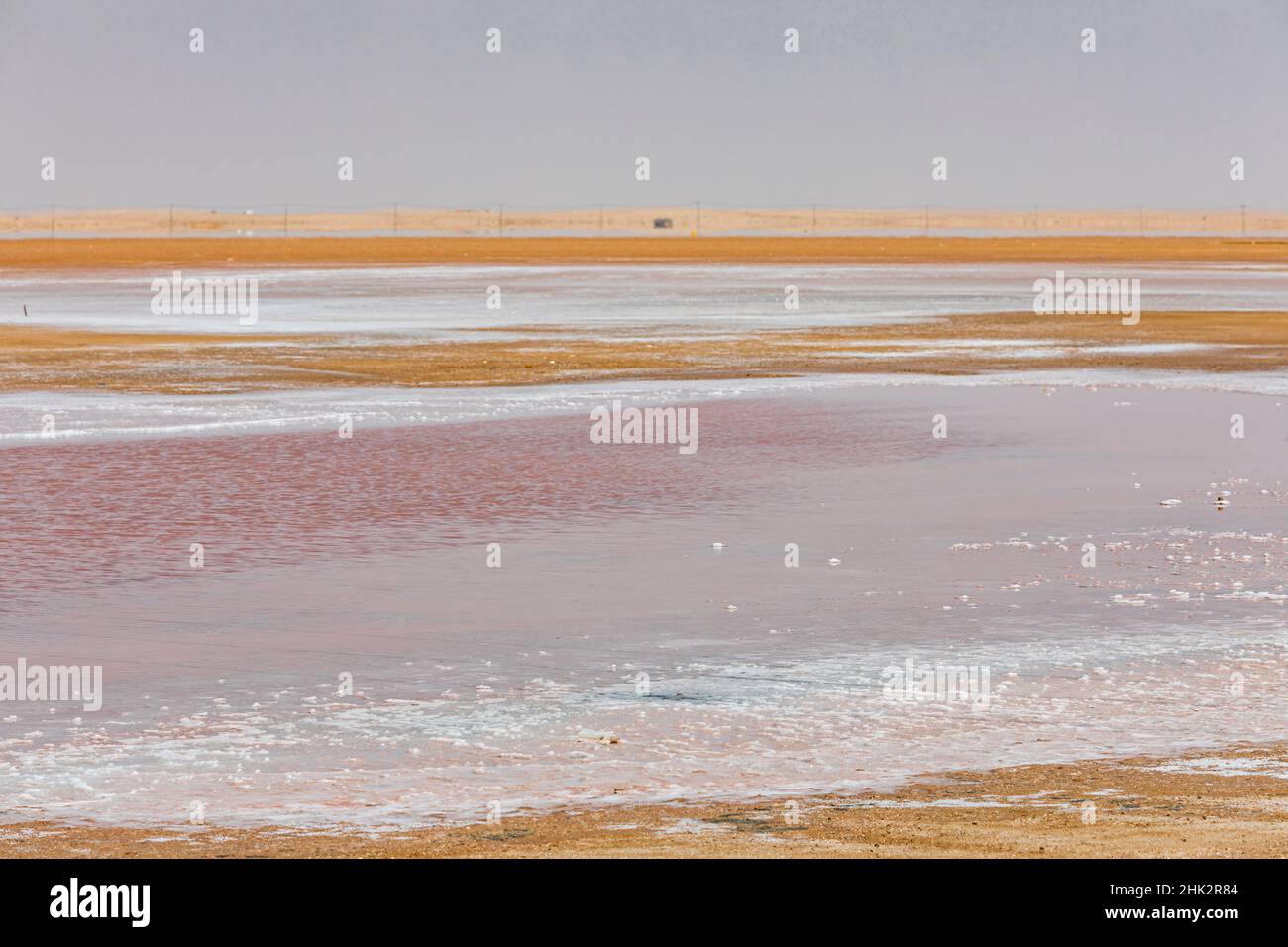 Middle East, Arabian Peninsula, Al Batinah South, Mahout. A salt marsh ...