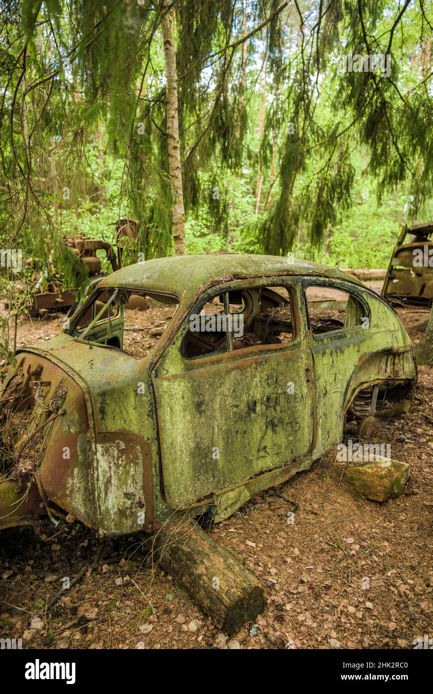 Sweden, Smaland, Ryd, Kyrko Mosse Car Cemetery, former junkyard now pubic park, junked cars ...