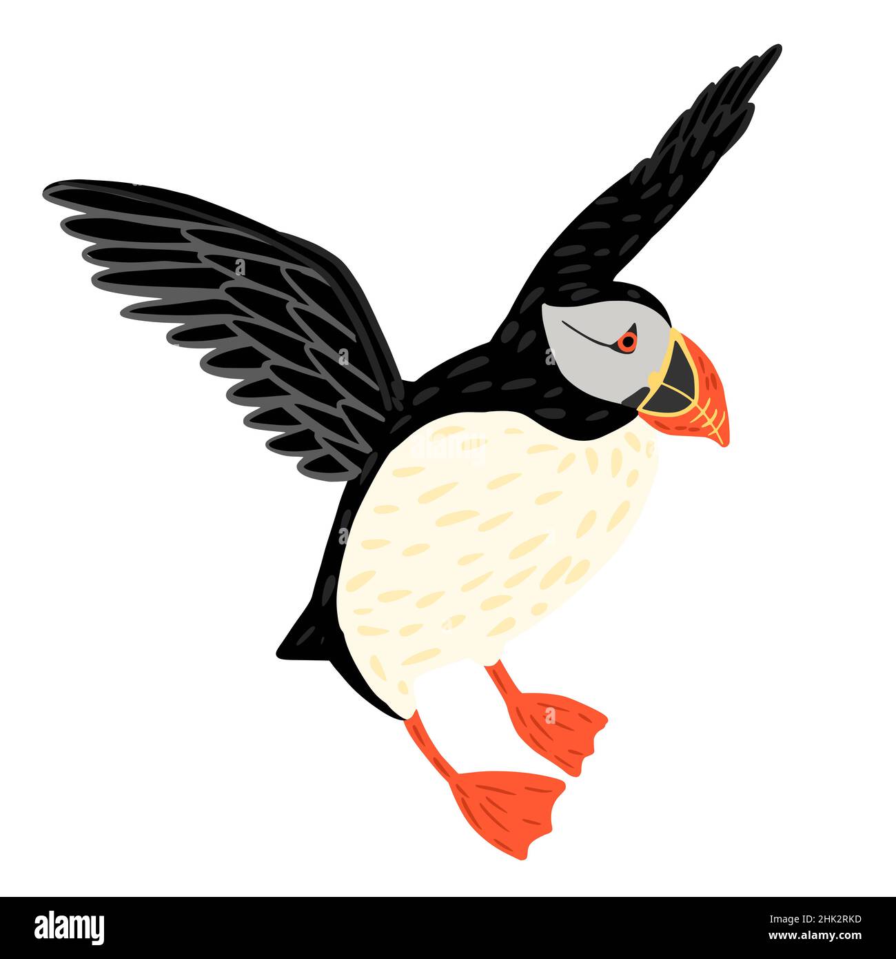 Puffin flying isolated on white background. Cute seabird lives by the ...