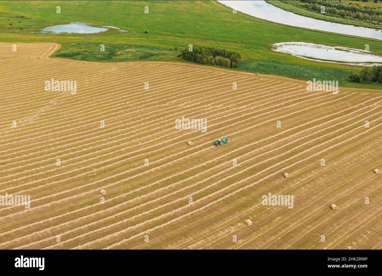 4K Aerial View Tractor Collects Dry Grass In Straw Bales In Wheat Field ...