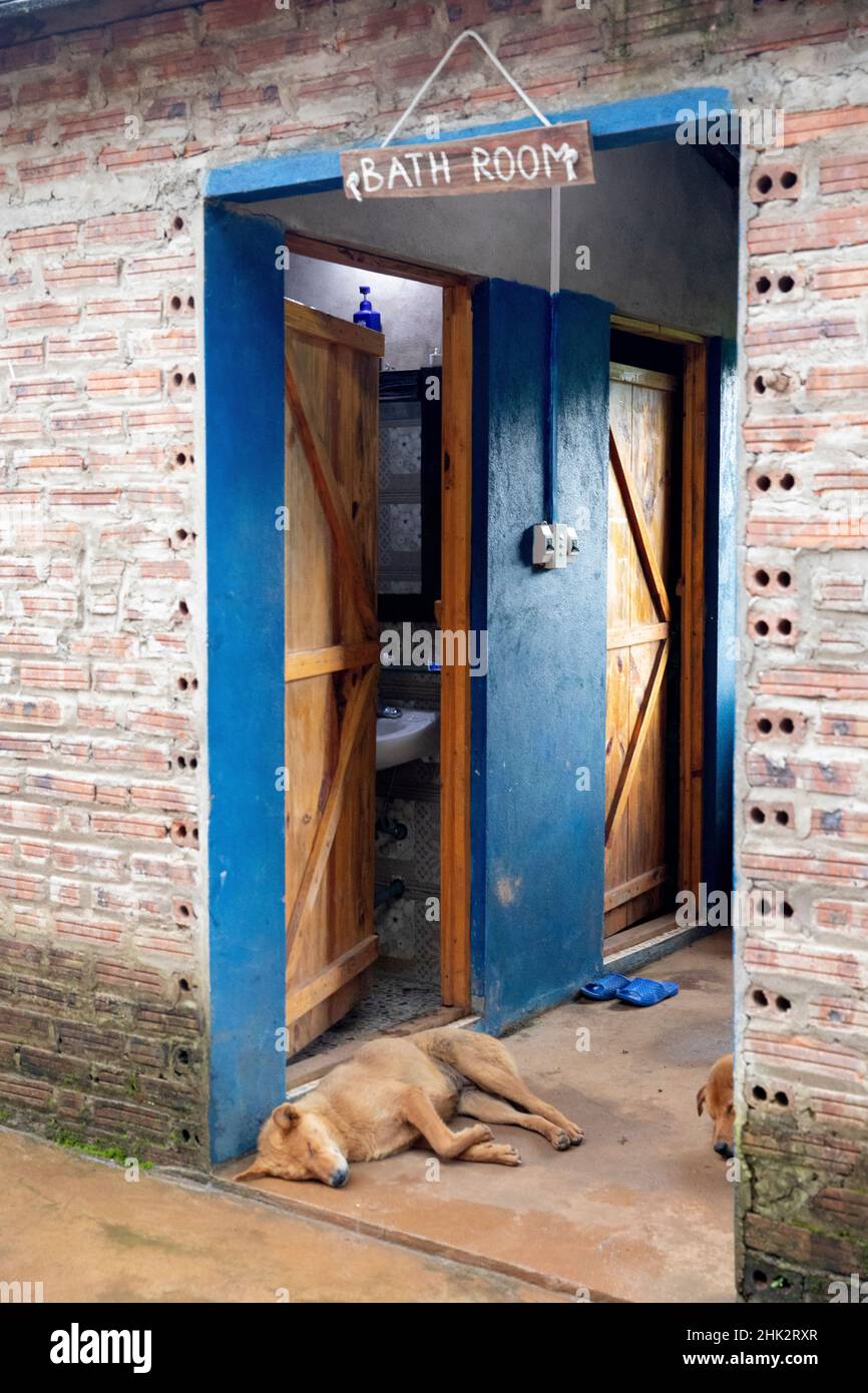 Vietnam. Sleepy dog guarding the bathroom Stock Photo - Alamy
