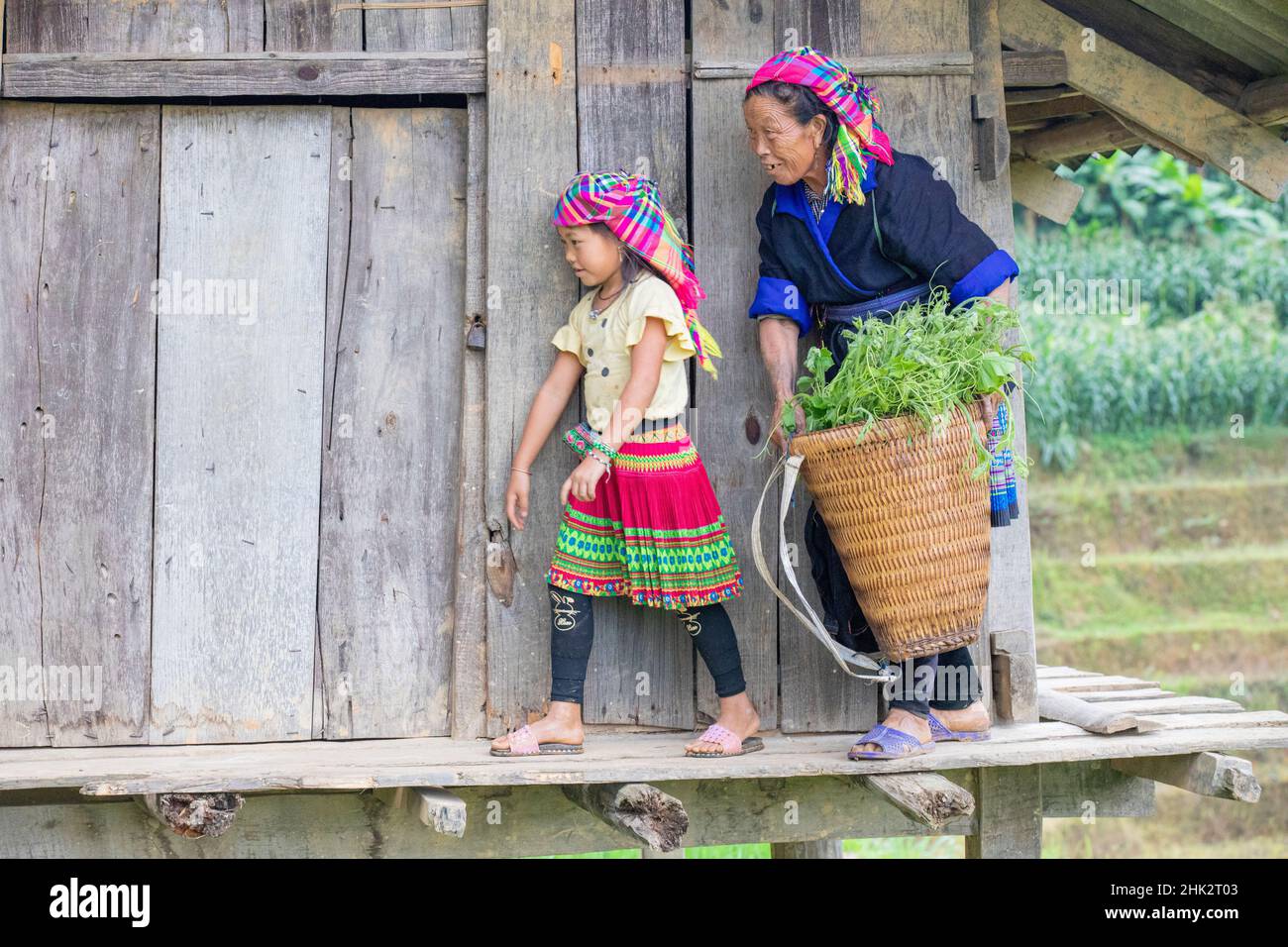 Vietnam. Grandma taking care of granddaughter. Farming community with ...