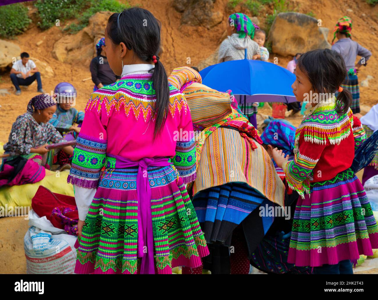 Vietnam. Open market where cows are bartered and food is sold. Sapa ...