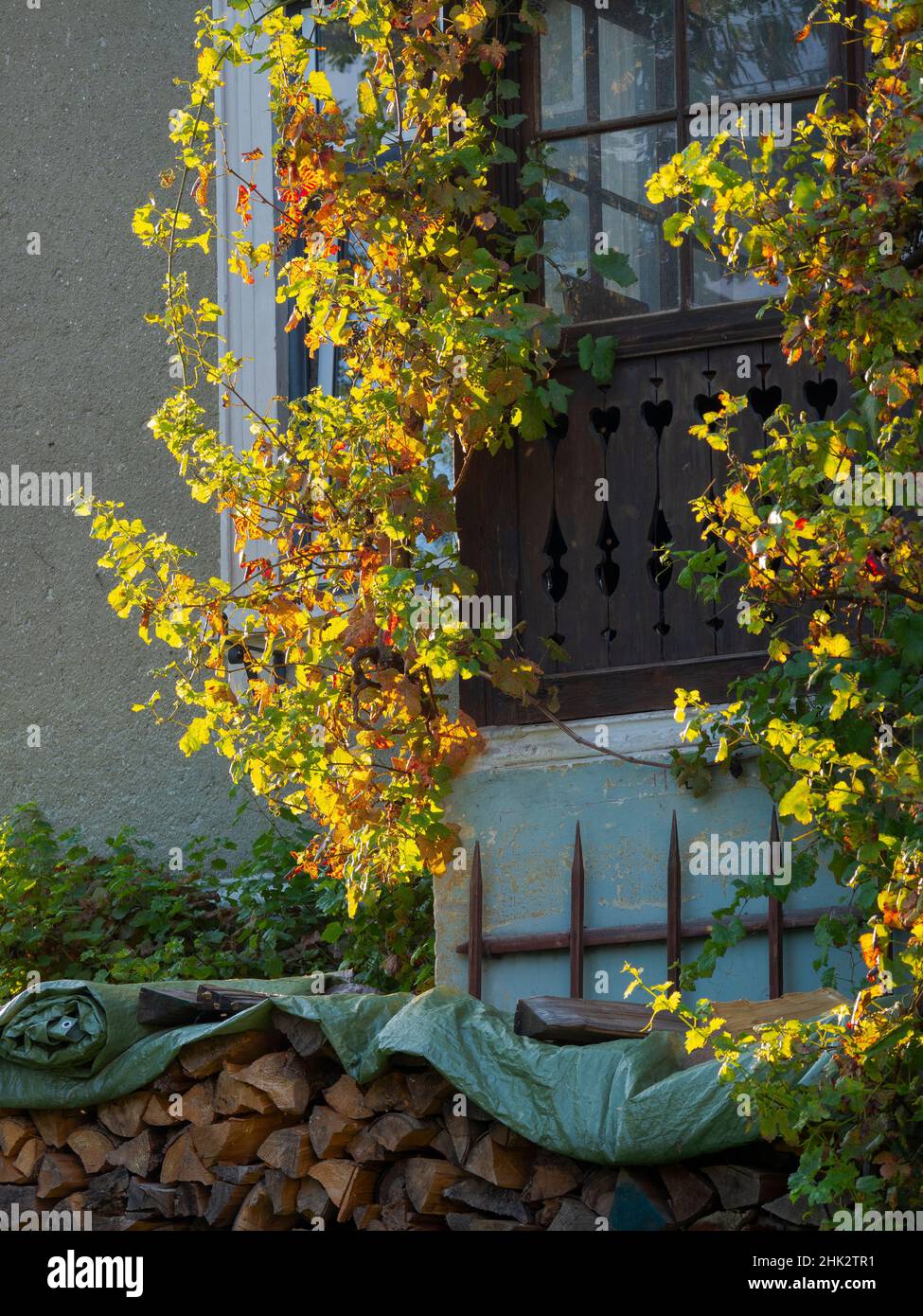 Historic village Spitz located in wine-growing area, UNESCO World ...