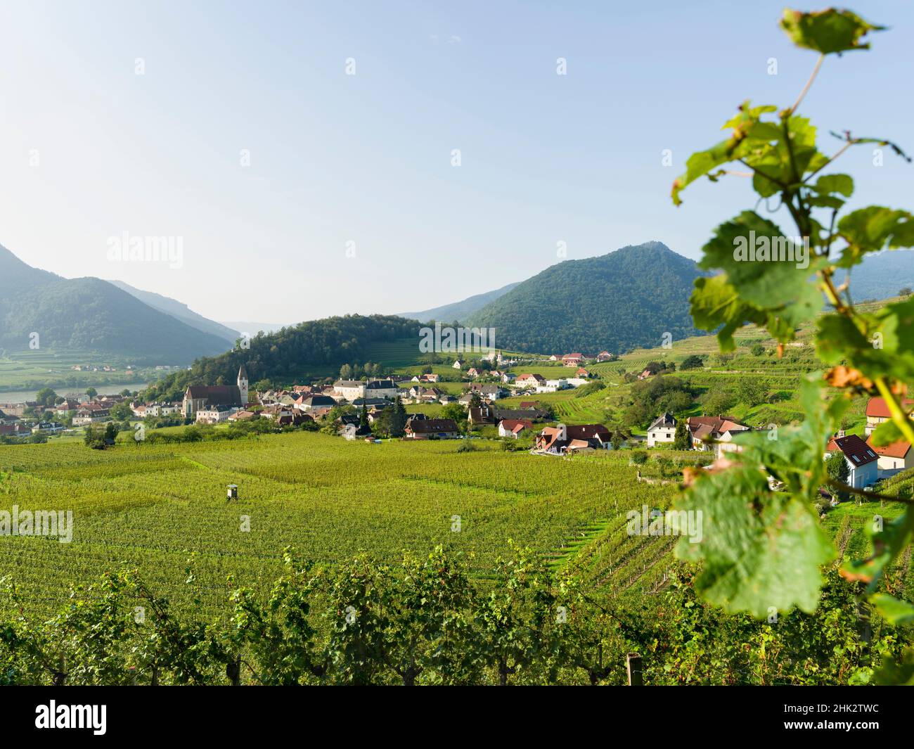 Historic village Spitz located in wine-growing area, UNESCO World ...