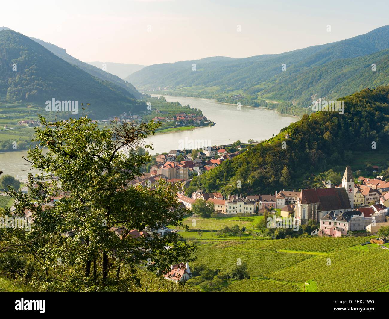 Historic village Spitz located in wine-growing area, UNESCO World ...