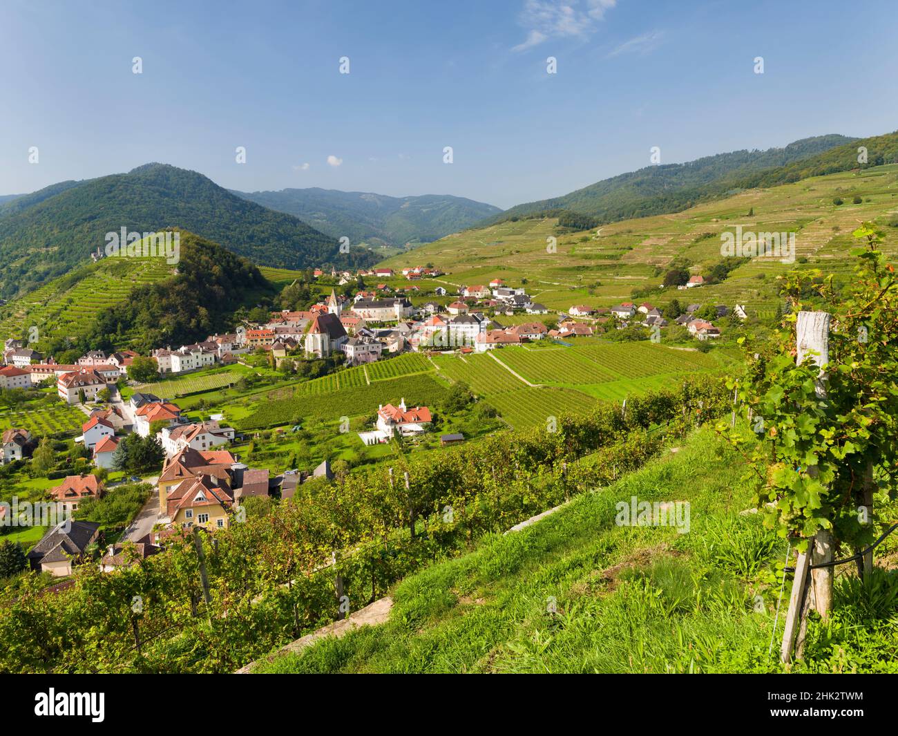 Historic village Spitz located in wine-growing area, UNESCO World ...