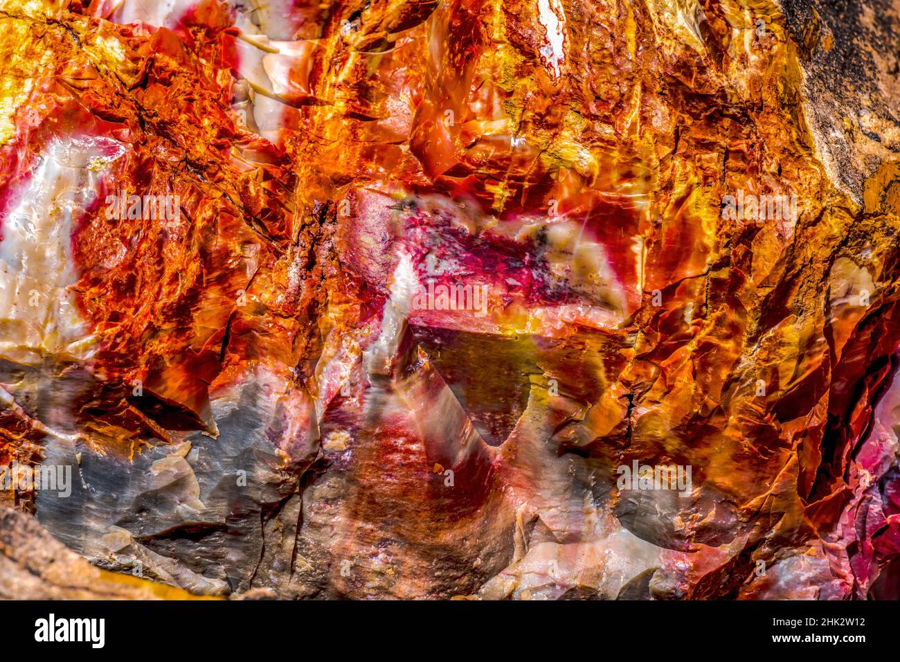 Red, orange and yellow petrified wood abstract, Blue Mesa, Petrified ...