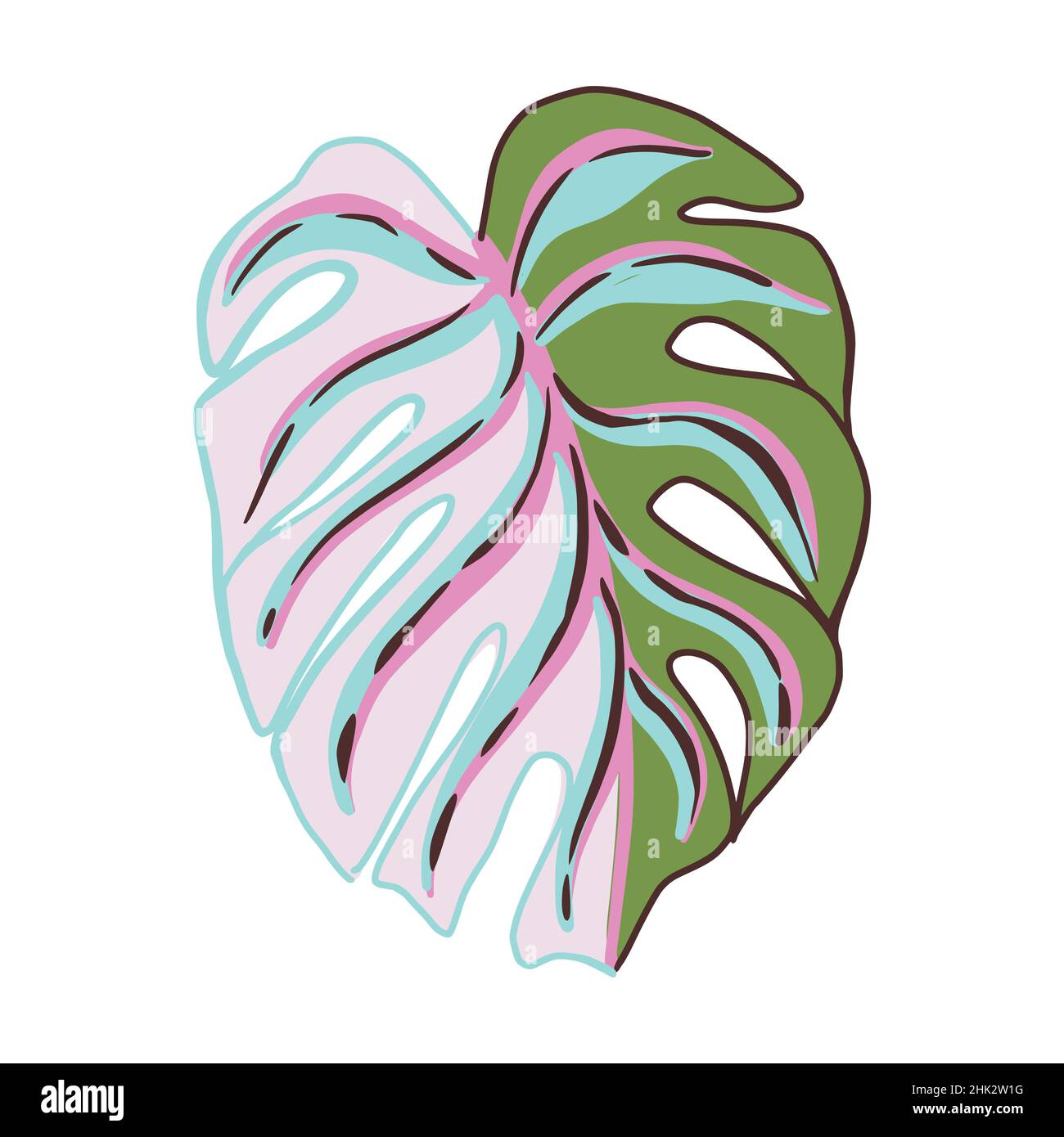 Decorative leaf monstera on white background. Abstract colorful sketch ...