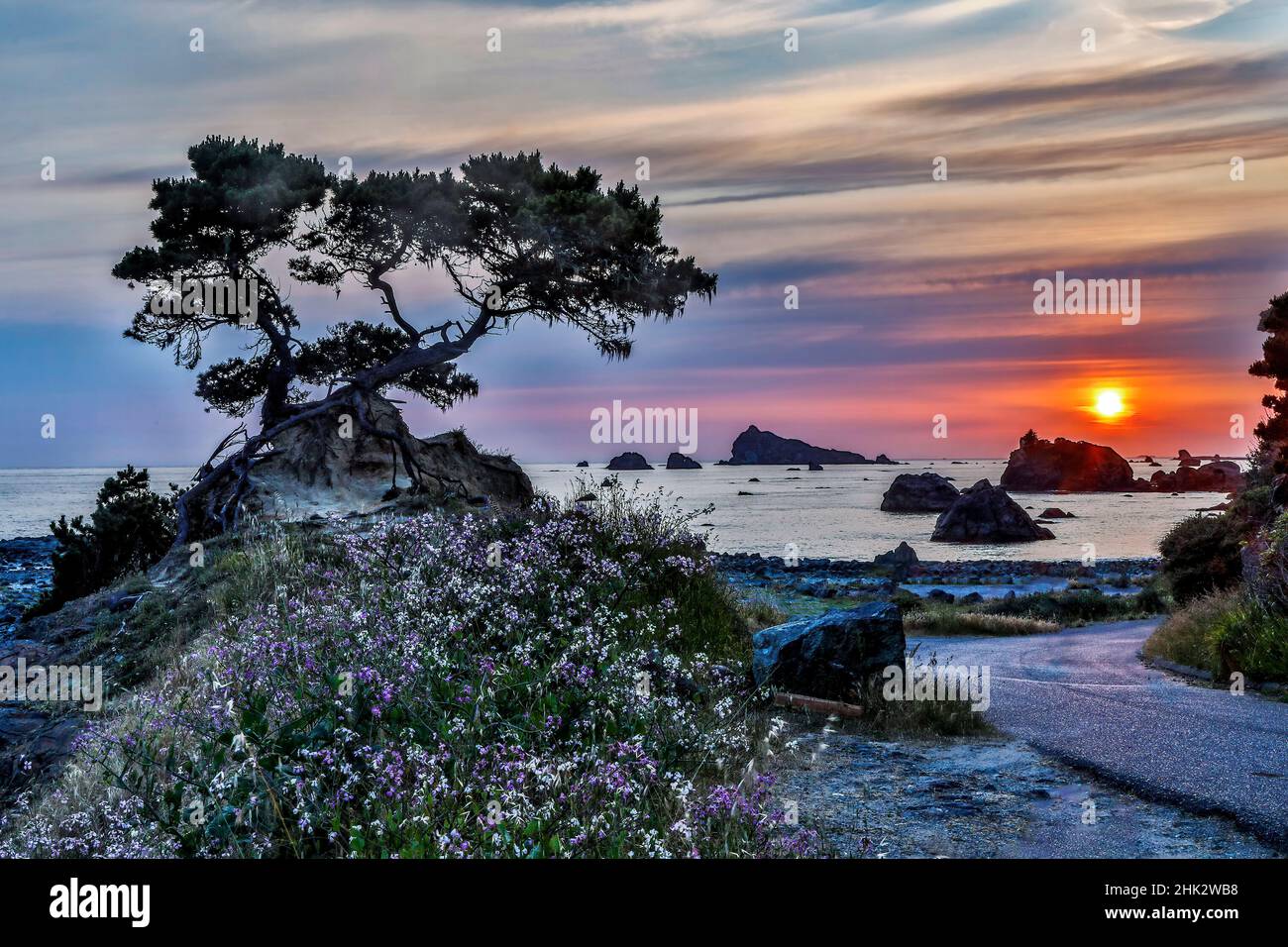 City of cypress hi-res stock photography and images - Alamy