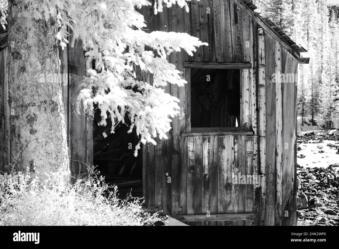 Old mining cabin colorado hi-res stock photography and images - Alamy