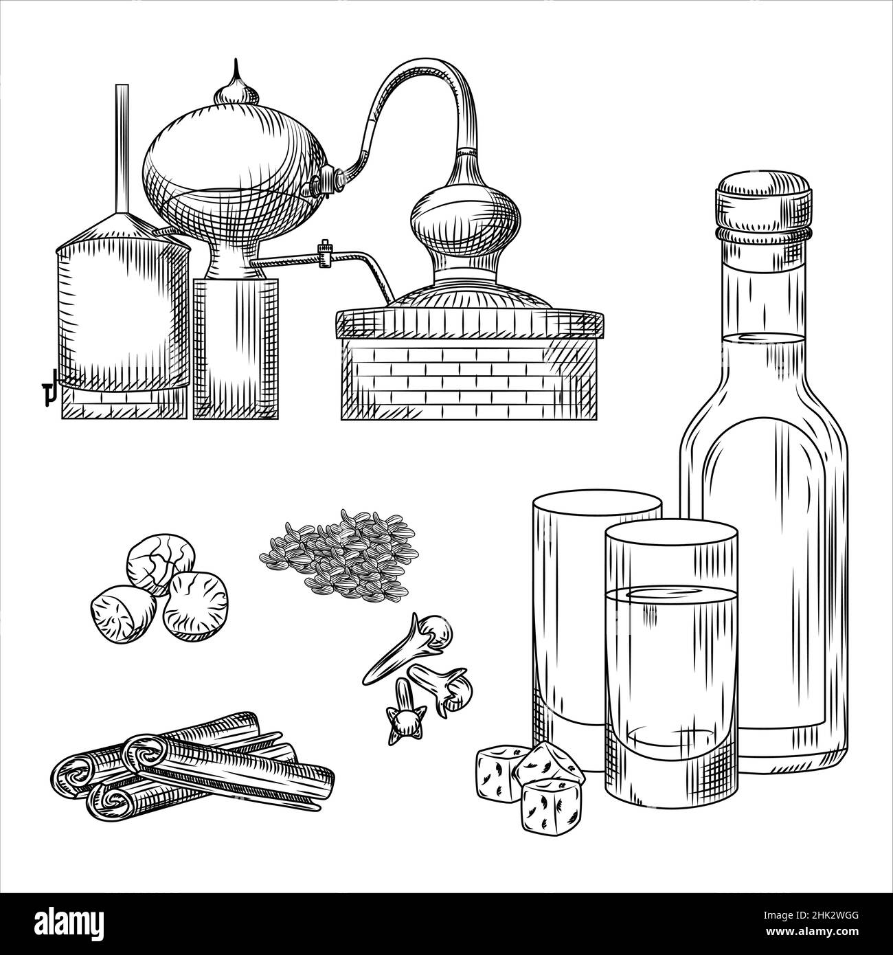 Set Ouzo Greek alcohol on white background. Glass, bottle, cinnamon ...