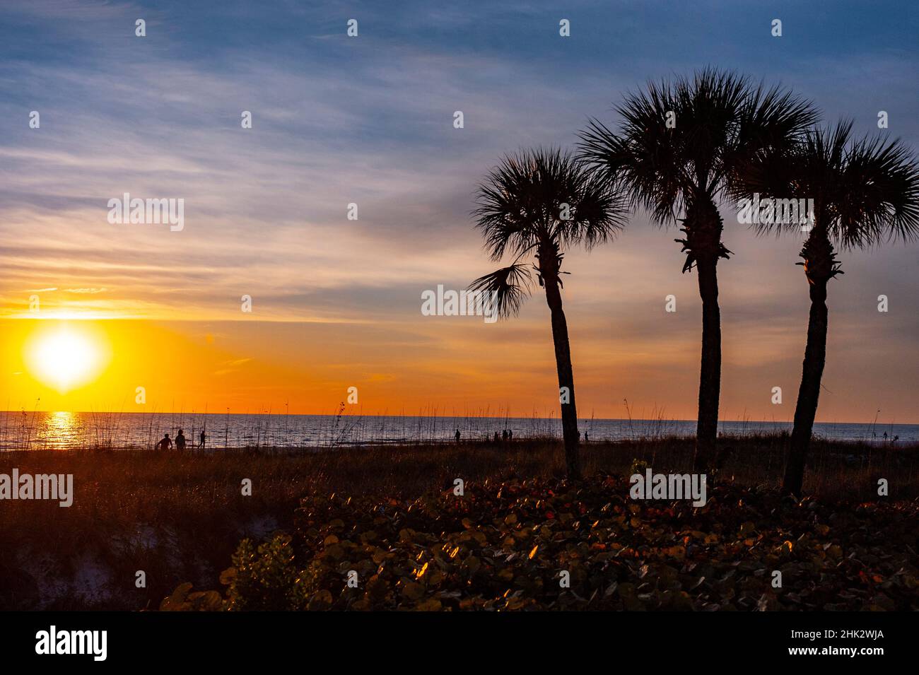 Crescent beach siesta key florida hi-res stock photography and images ...