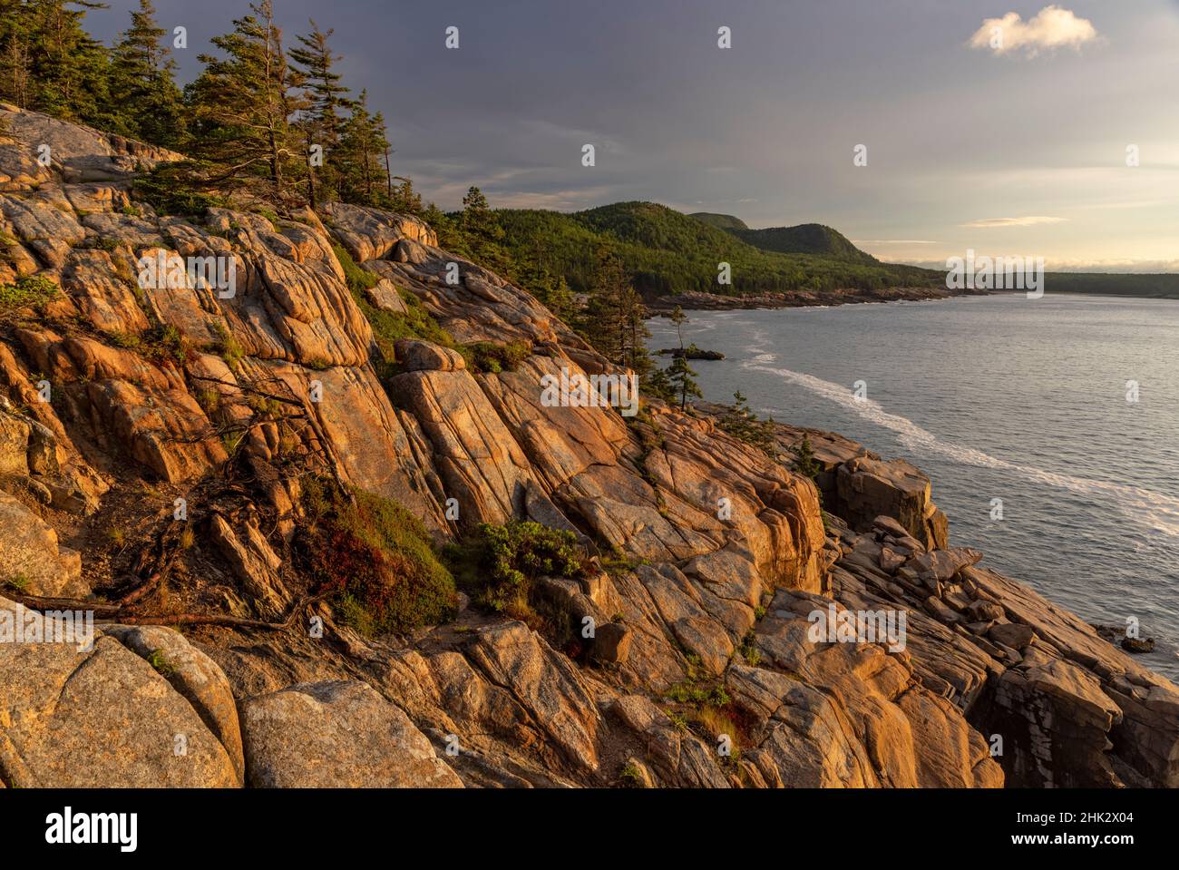 Otter Cliffs at sunrise in Acadia National Park, Maine, USA Stock Photo ...