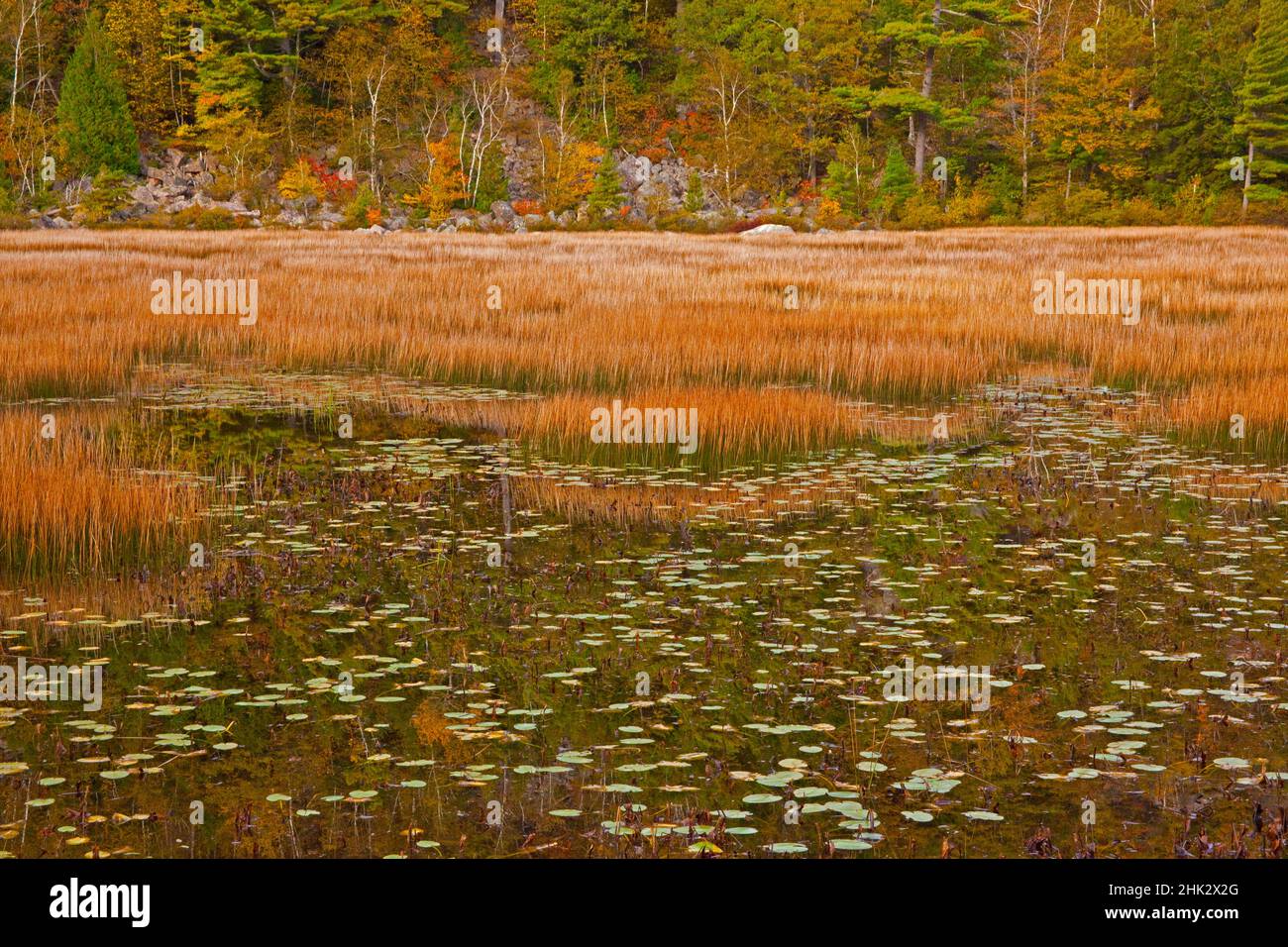 USA, New England, Maine, Mt. Desert Island, Acadia National park with ...