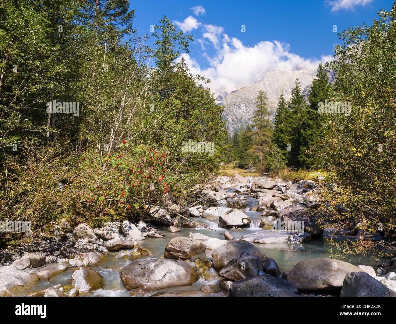 River Sarca. Val di Genova in the Parco Naturale Adamello, Brenta ...