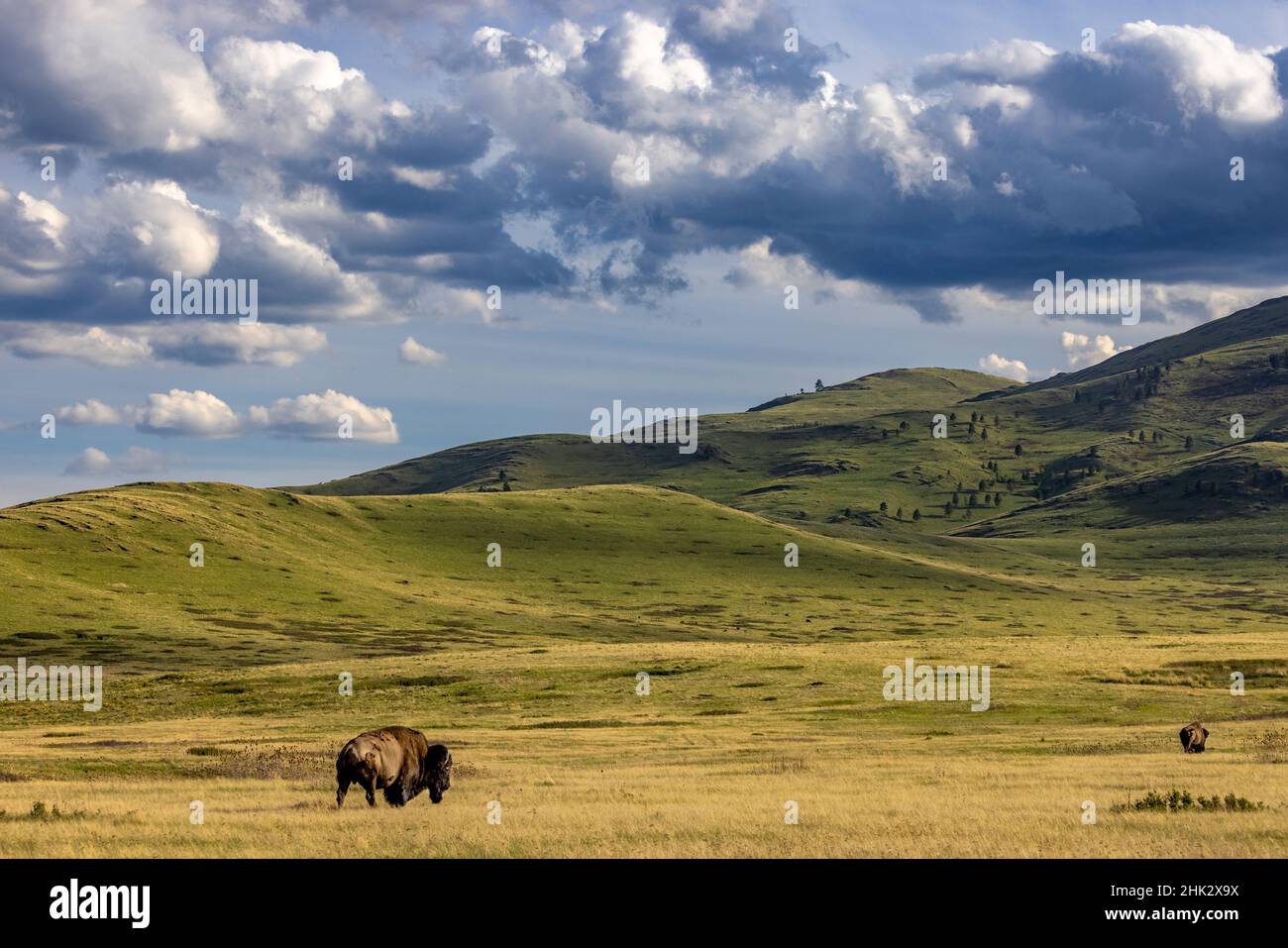 Moiese valley hi-res stock photography and images - Alamy