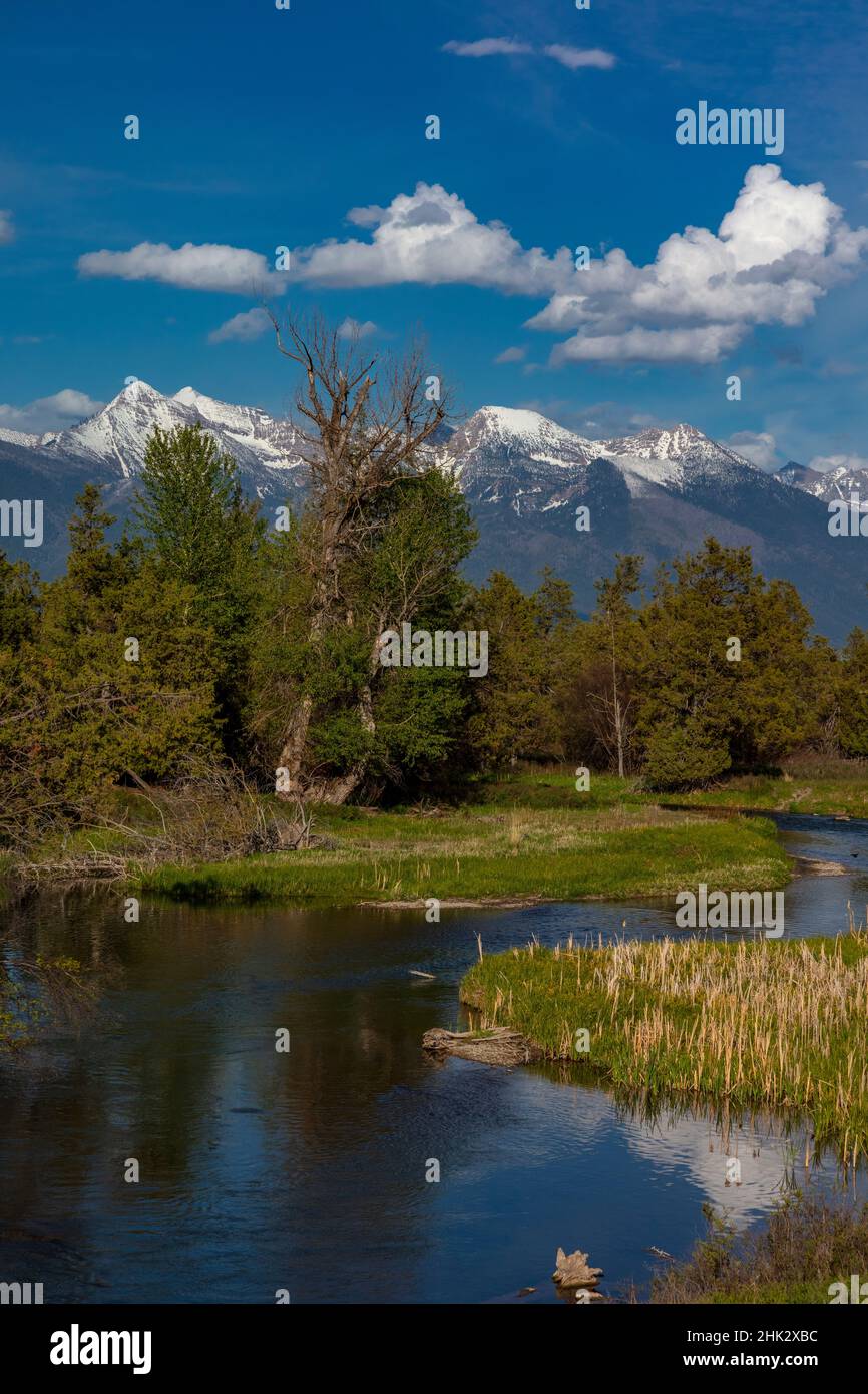 Mission valley montana wildlife hi-res stock photography and images - Alamy