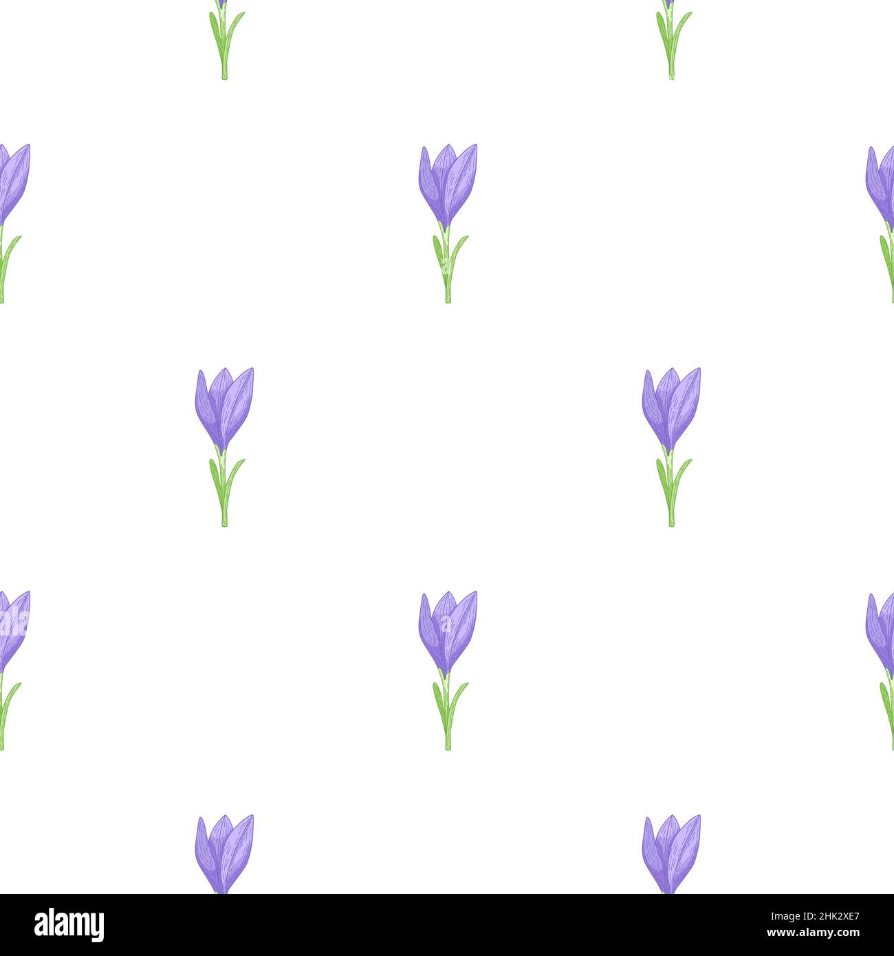 Isolated seamless doodle pattern with simple blue outline crocus flower ...