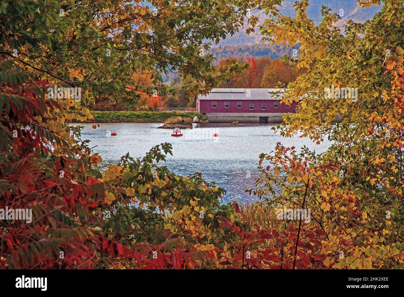 USA, New Hampshire, Gorham, Fall colored trees framing Androscoggin ...