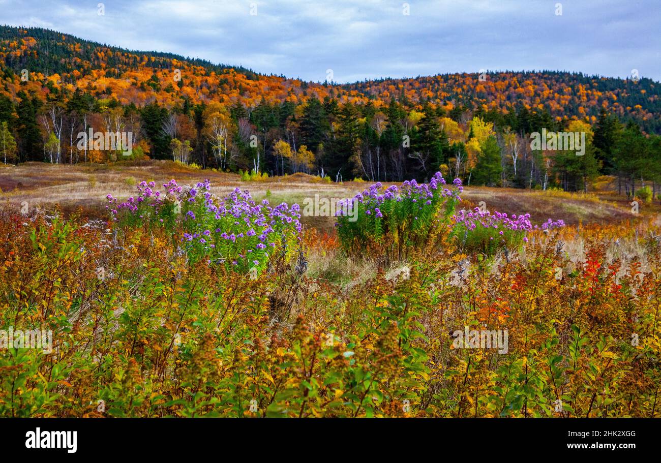 USA, New Hampshire, New England field off of highway 302 with Autumn ...