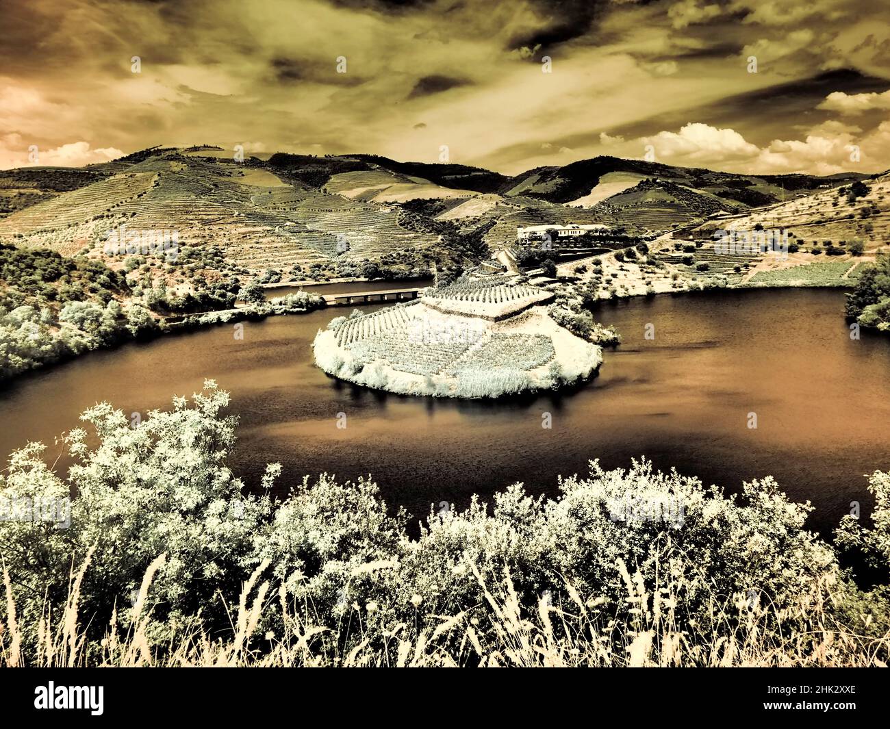 Portugal, Douro Valley. Mouth of Rio Tedo into river Douro. Vineyards ...