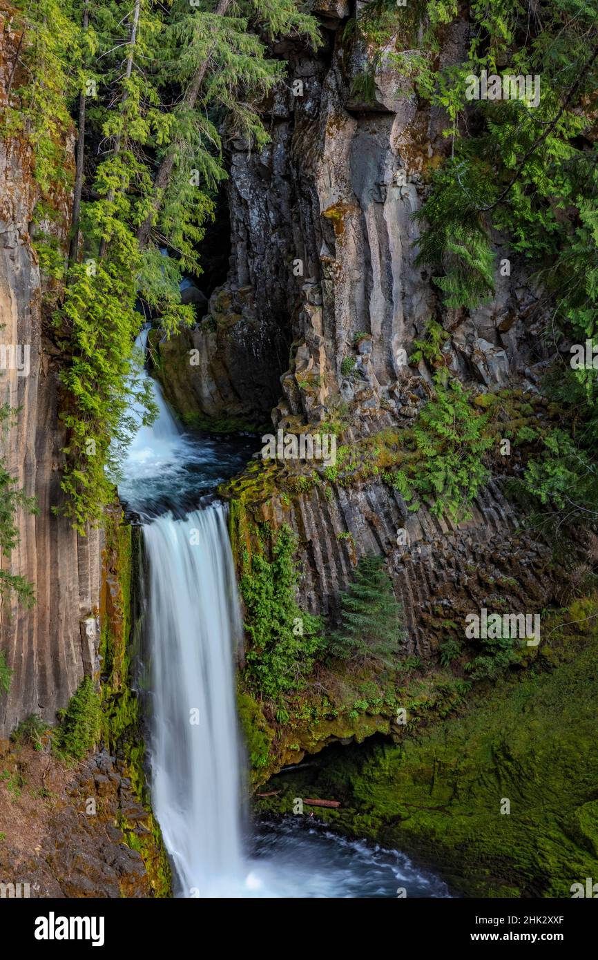 Toketee Falls runs over basalt columns in the Umpqua National Forest ...