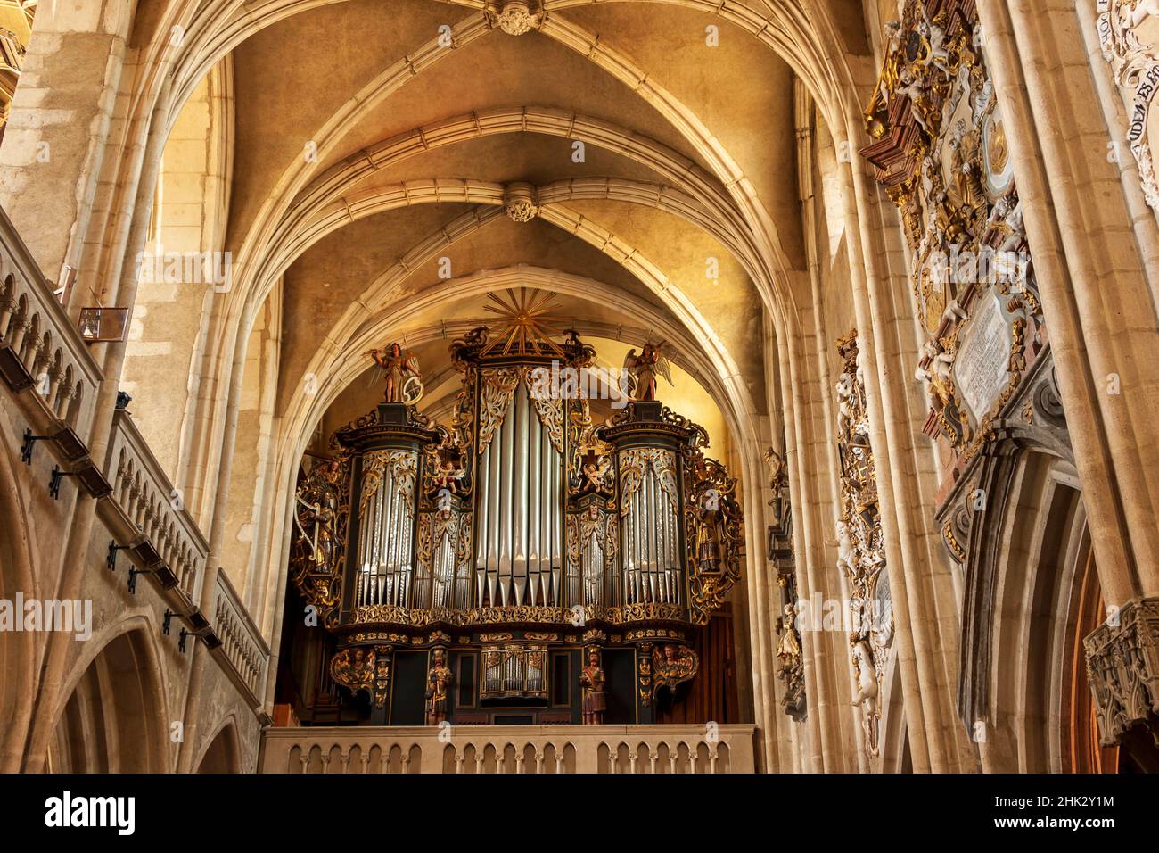 Sibiu, Romania. Pipe organ in gothic style Lutheran Cathedral of Saint ...