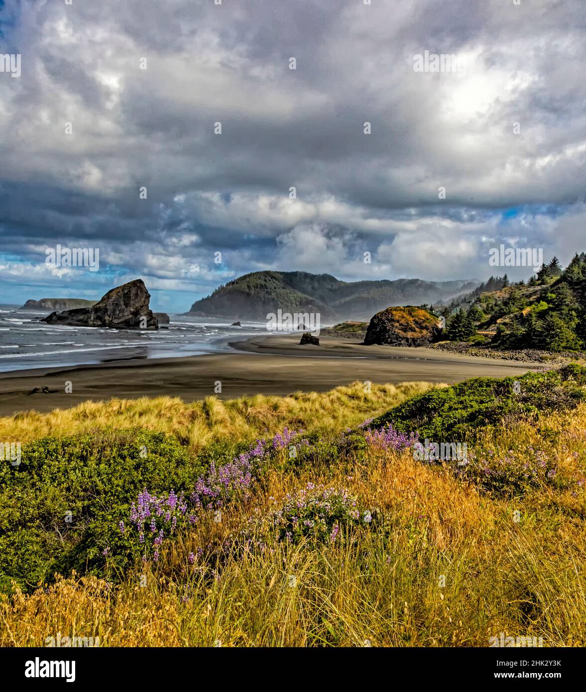 USA, Oregon, Cape Sebastian Stock Photo - Alamy
