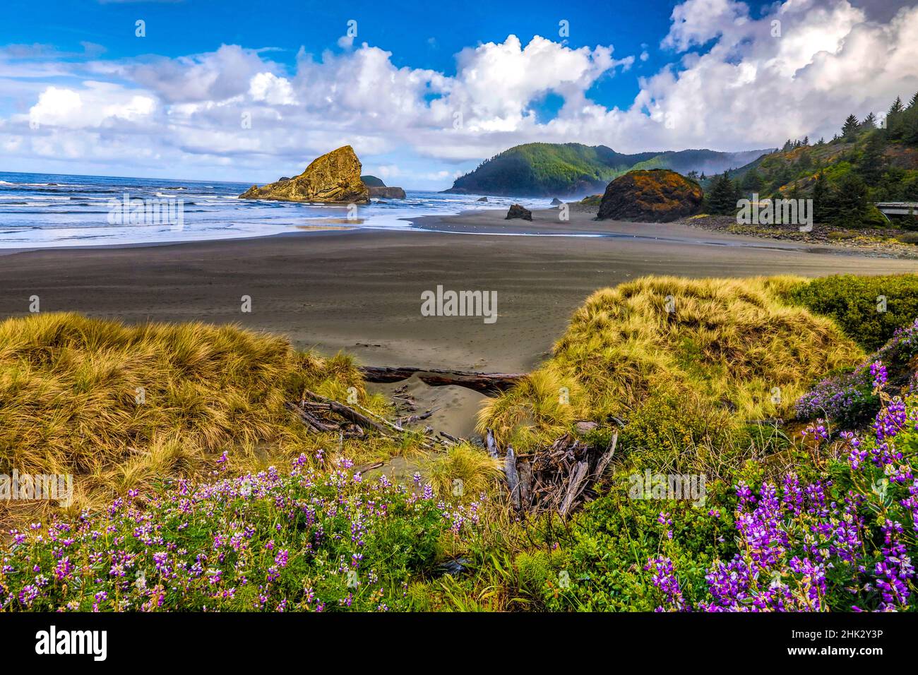 USA, Oregon, Cape Sebastian Stock Photo - Alamy
