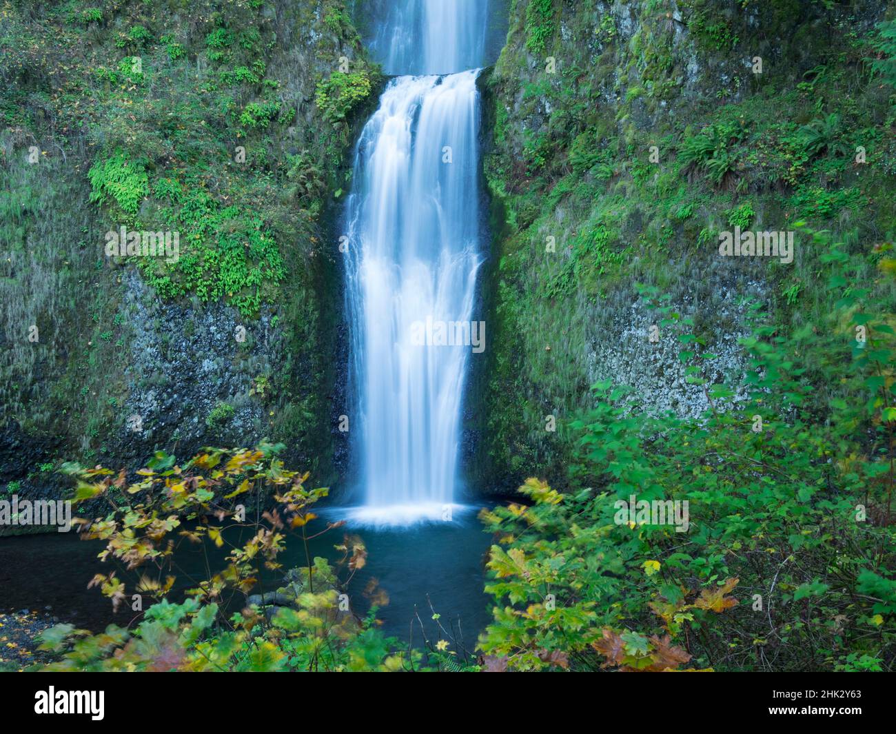 Oregon, Columbia River Gorge National Scenic Area, Multnomah Falls ...