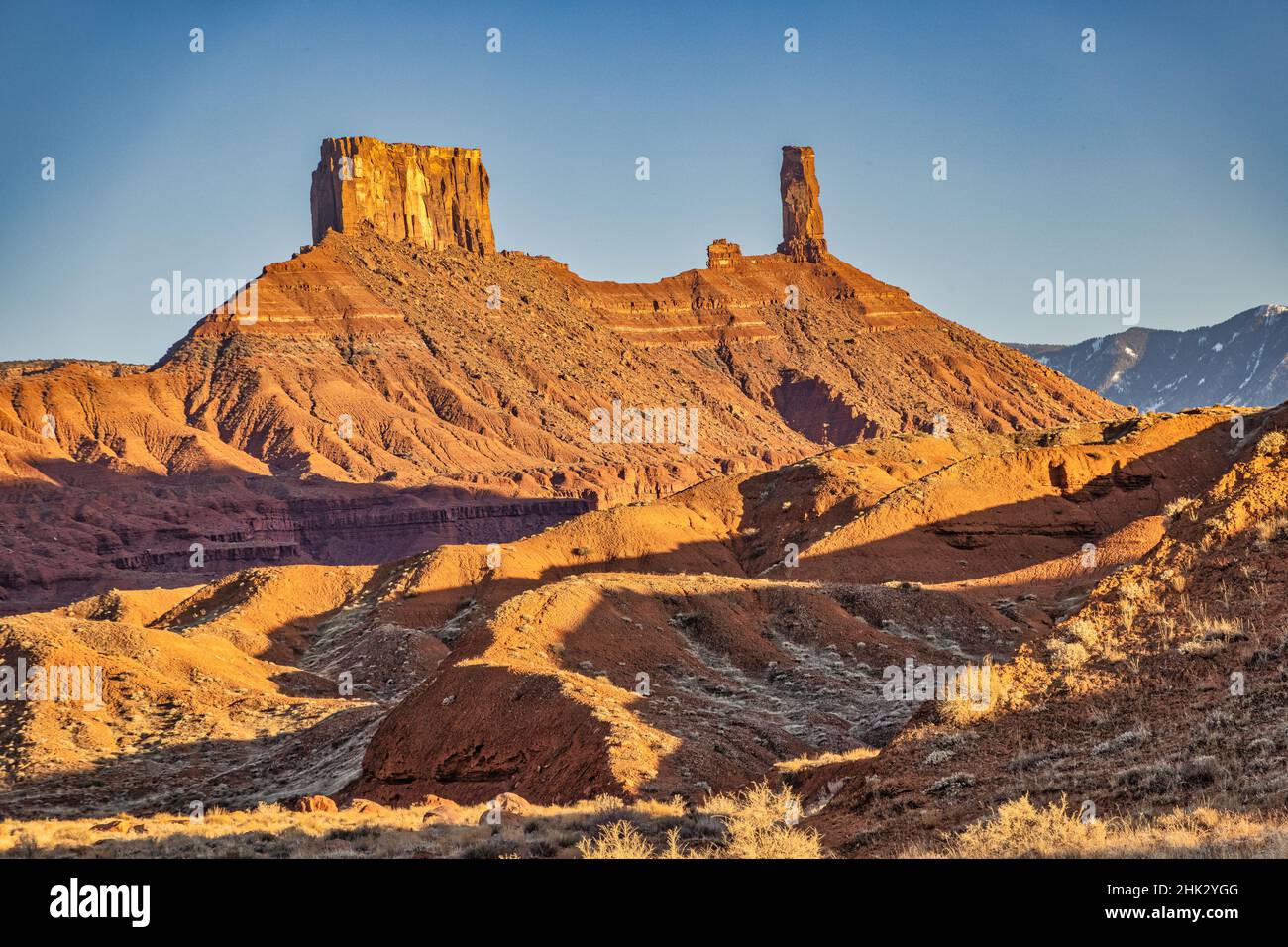 Parriott hi-res stock photography and images - Alamy